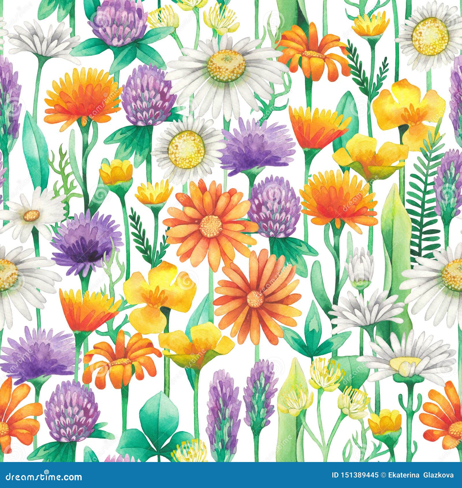 Watercolor Seamless Pattern Of Wild Meadow Flowers Stock Illustration
