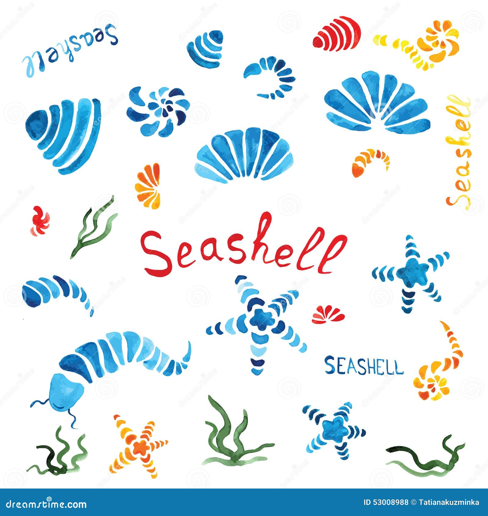 Watercolor Seashells Composition. Hand-drawing Stock Vector ...