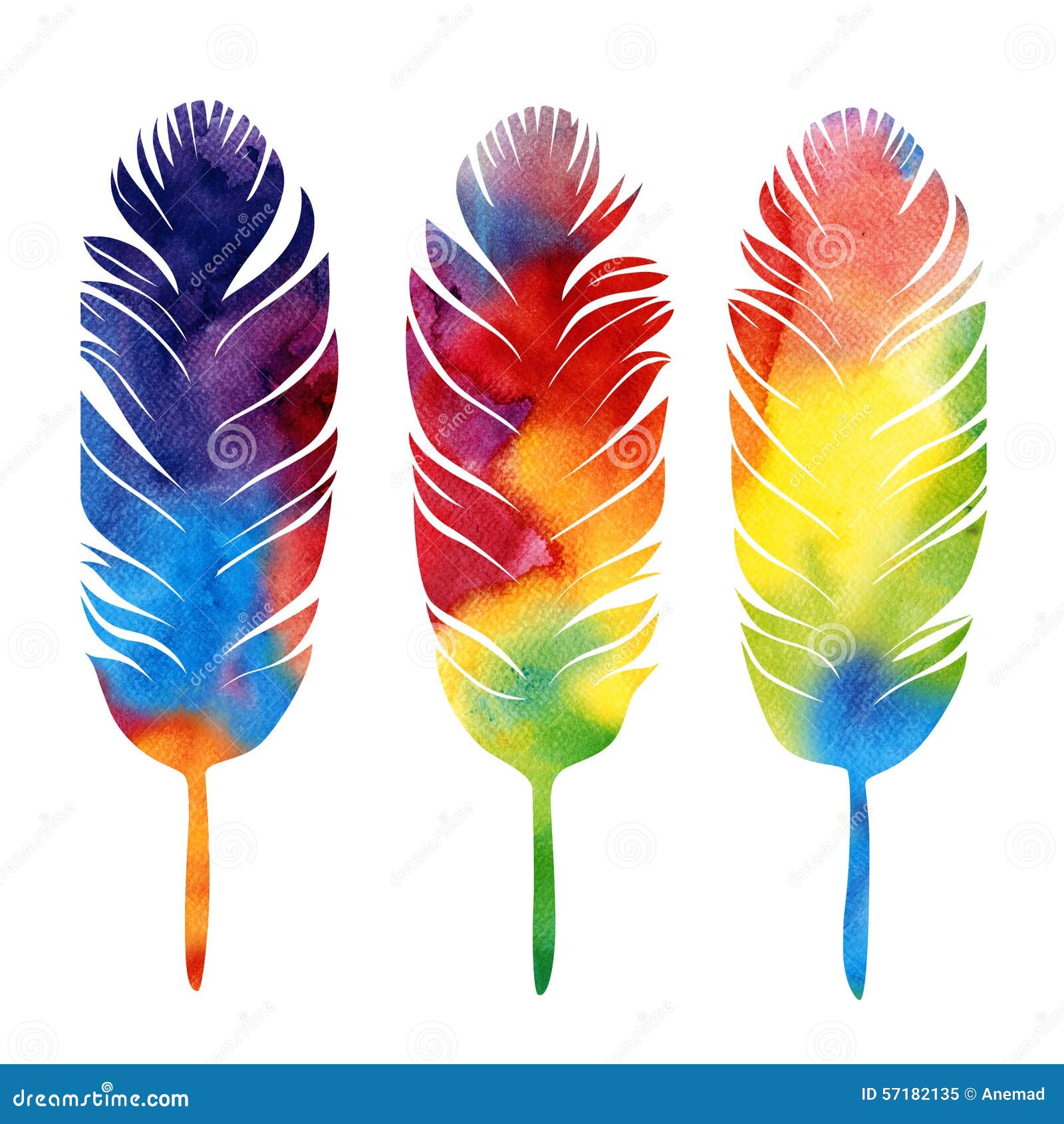 Watercolor Set of Colorful Feathers Stock Illustration - Illustration ...