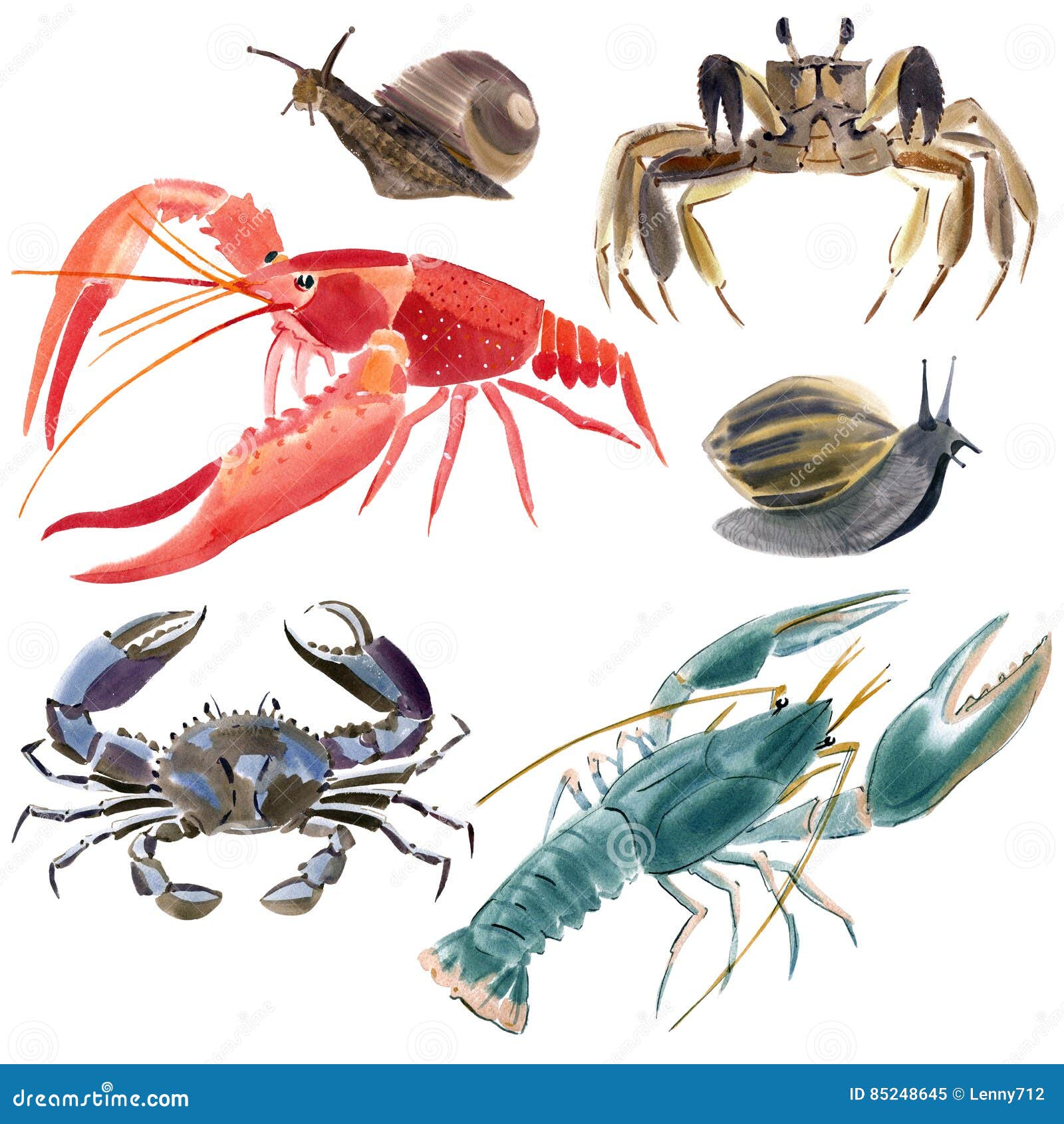 Crustaceans Cartoons, Illustrations & Vector Stock Images - 3734 ...