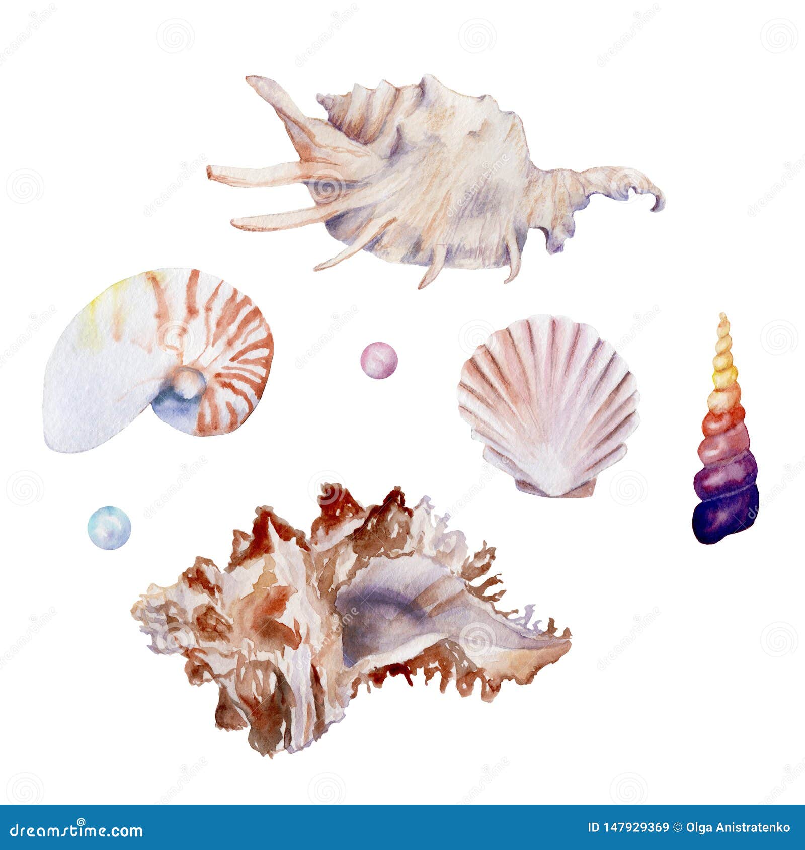 Watercolor Set Ocean, Sea: Different Shells, Pearls Stock Image - Image ...