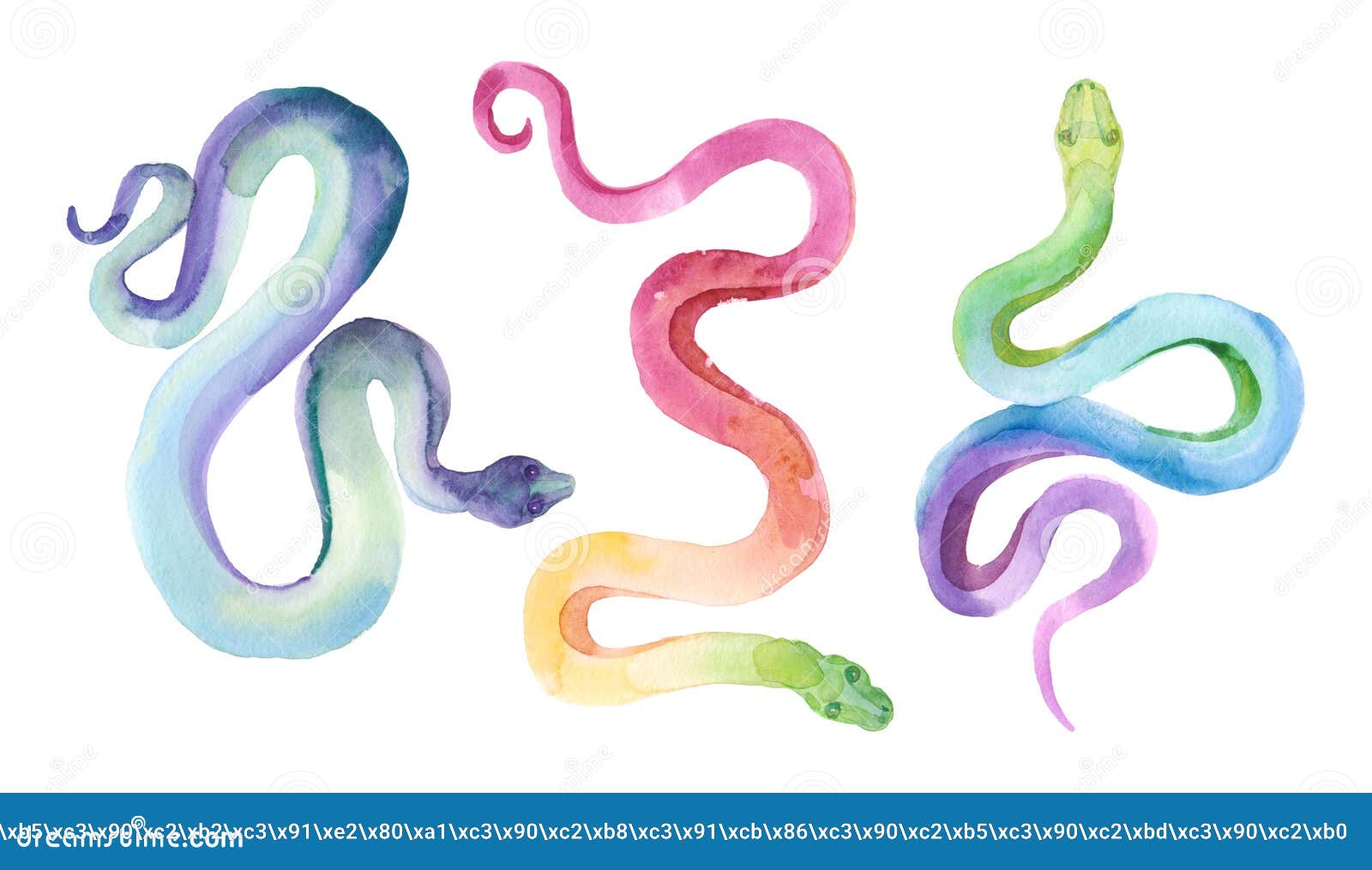 Watercolor Set of Simple Multicolored Snakes Isolated on White ...