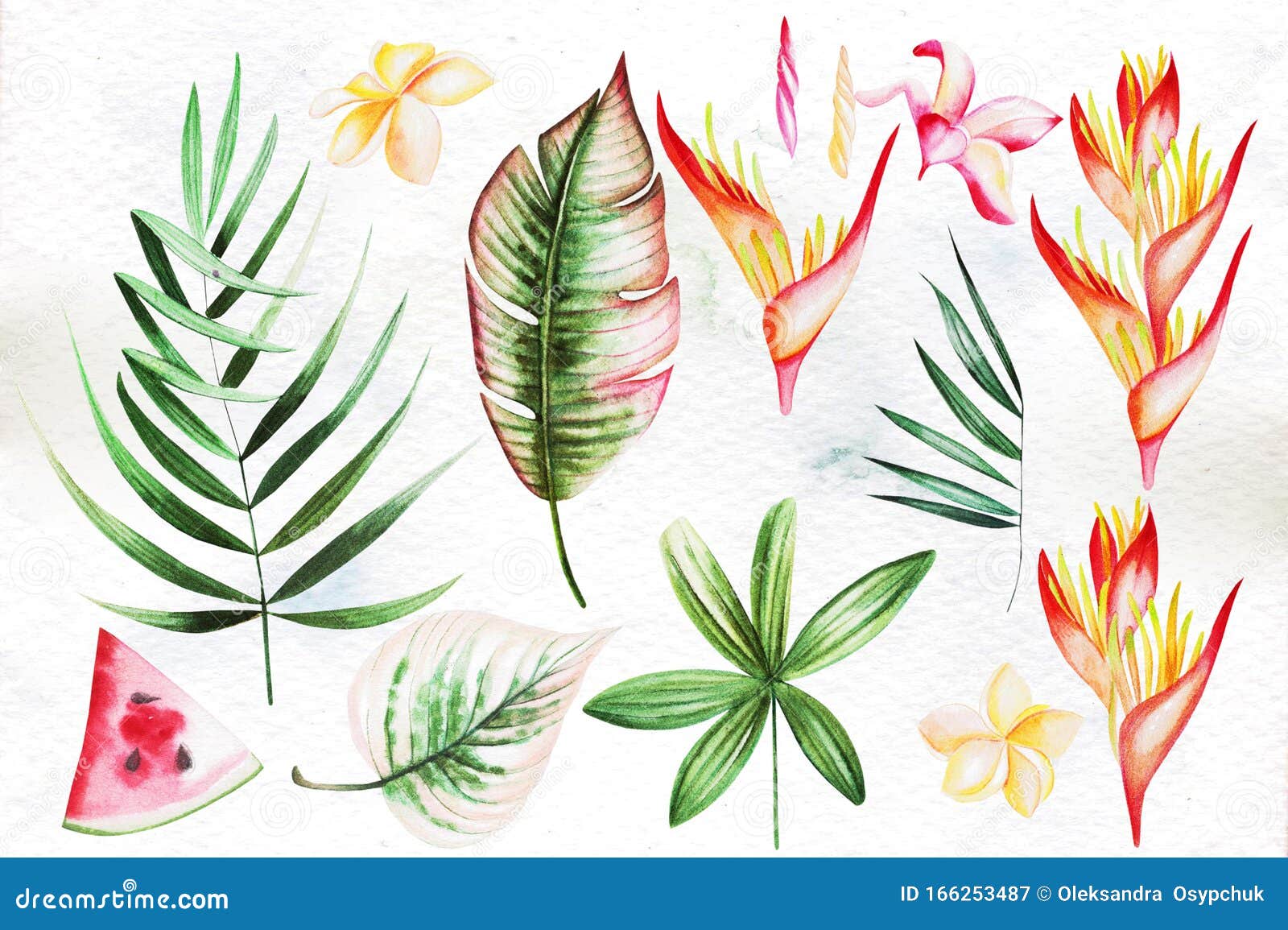 Watercolor Set with Tropical Leaves, Flowers Stock Illustration ... Watercolor Set with Tropical Leaves, Flowers Stock Illustration ...