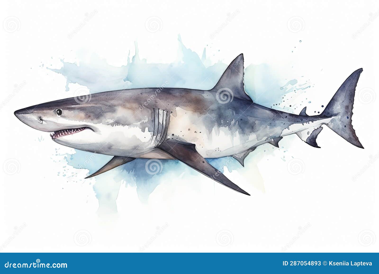 Watercolor Shark Isolated On White Background. Hand Drawn Realistic ...
