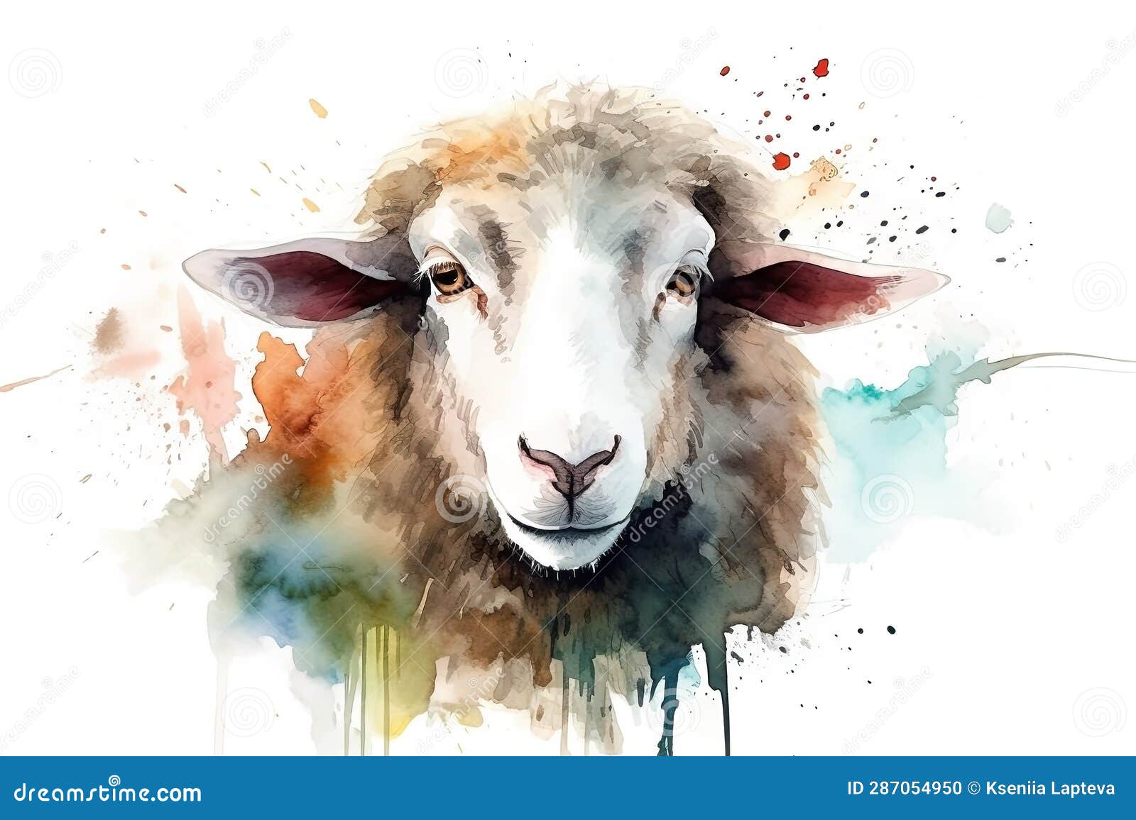 Watercolor Sheep Illustration On White Background | CartoonDealer.com ...