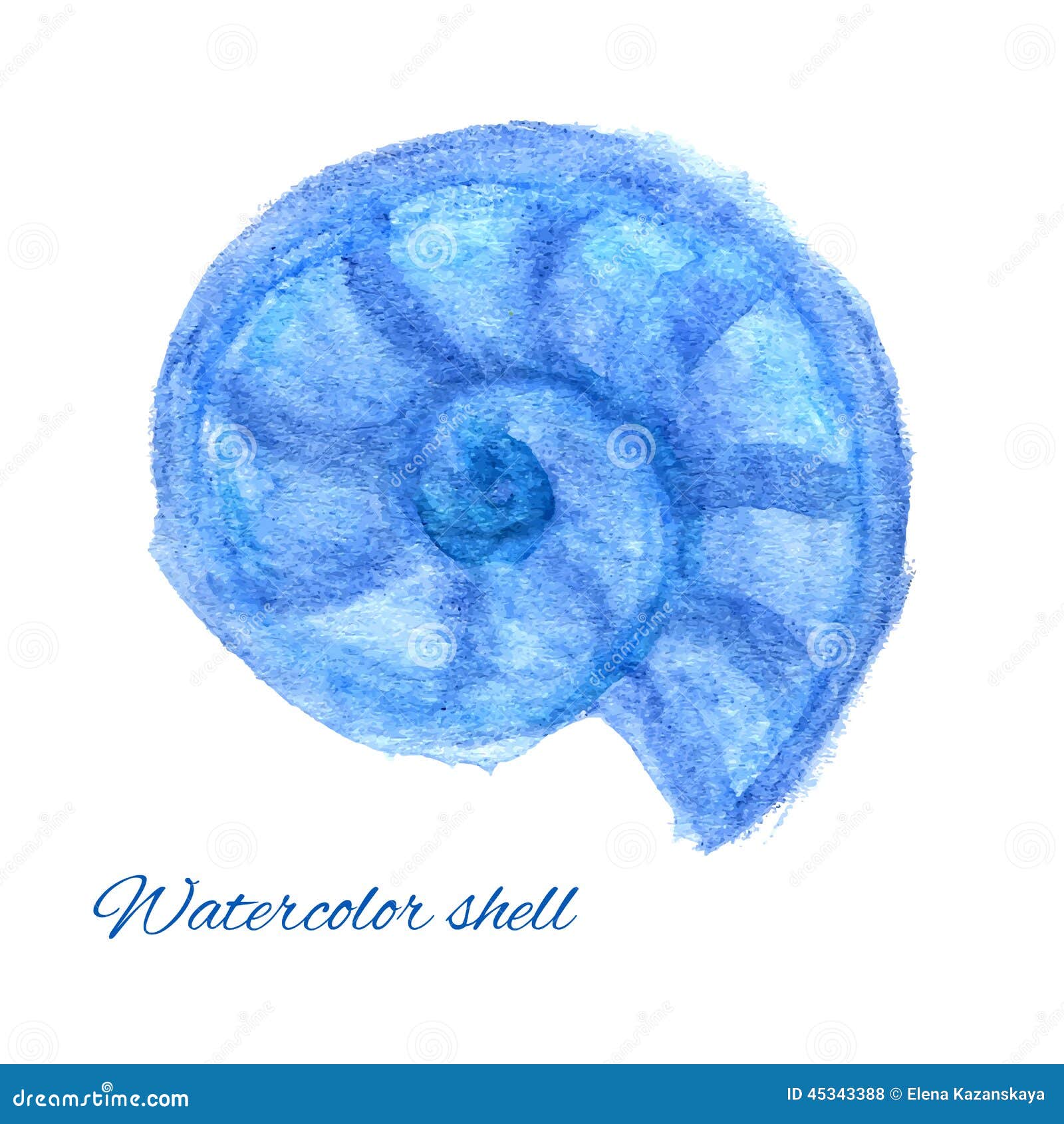 Watercolor Sea Shell Urchin Isolated Clip Art Vector | CartoonDealer ...