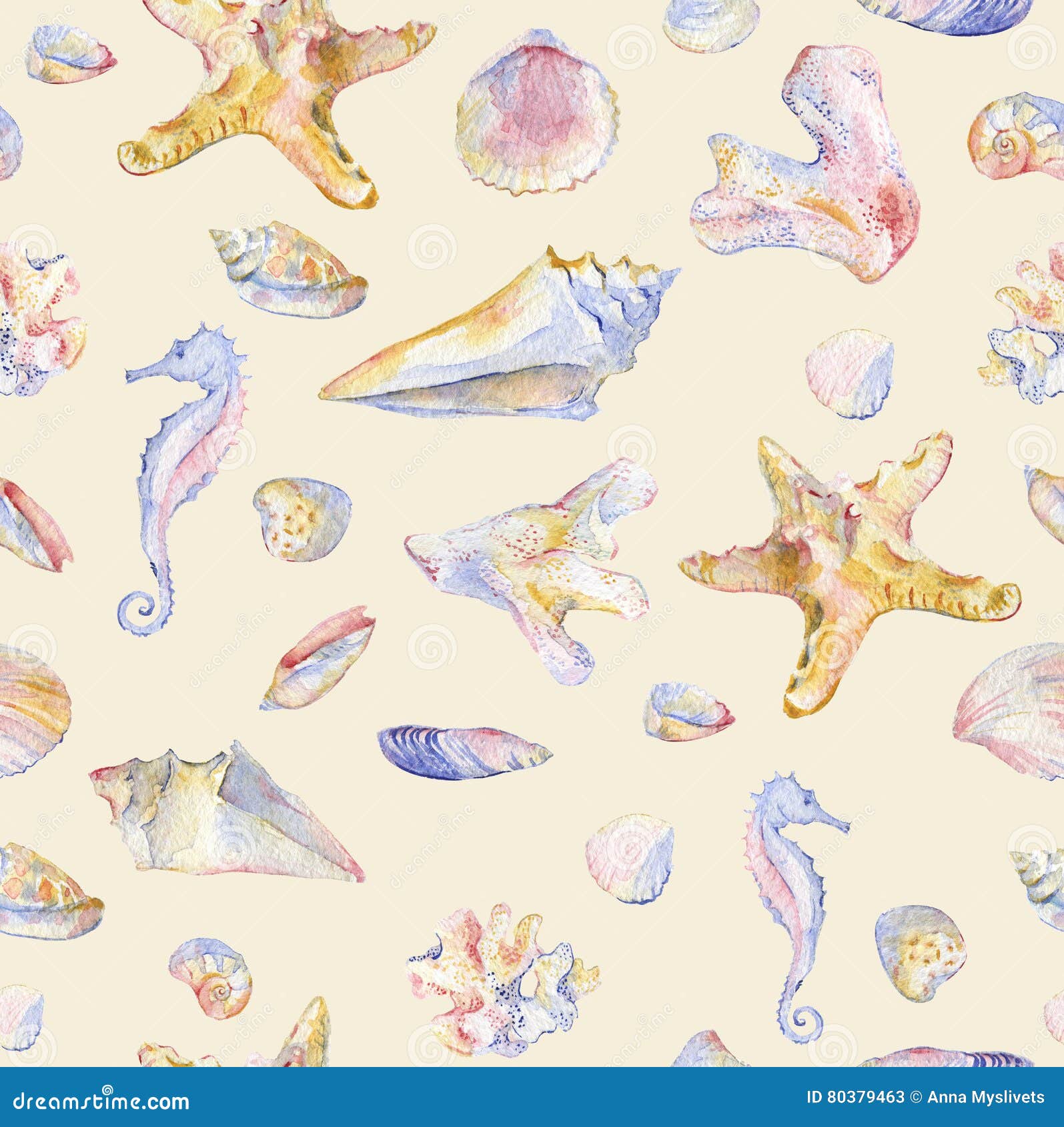 Watercolor Sea Shell Urchin Isolated Clip Art Vector | CartoonDealer ...