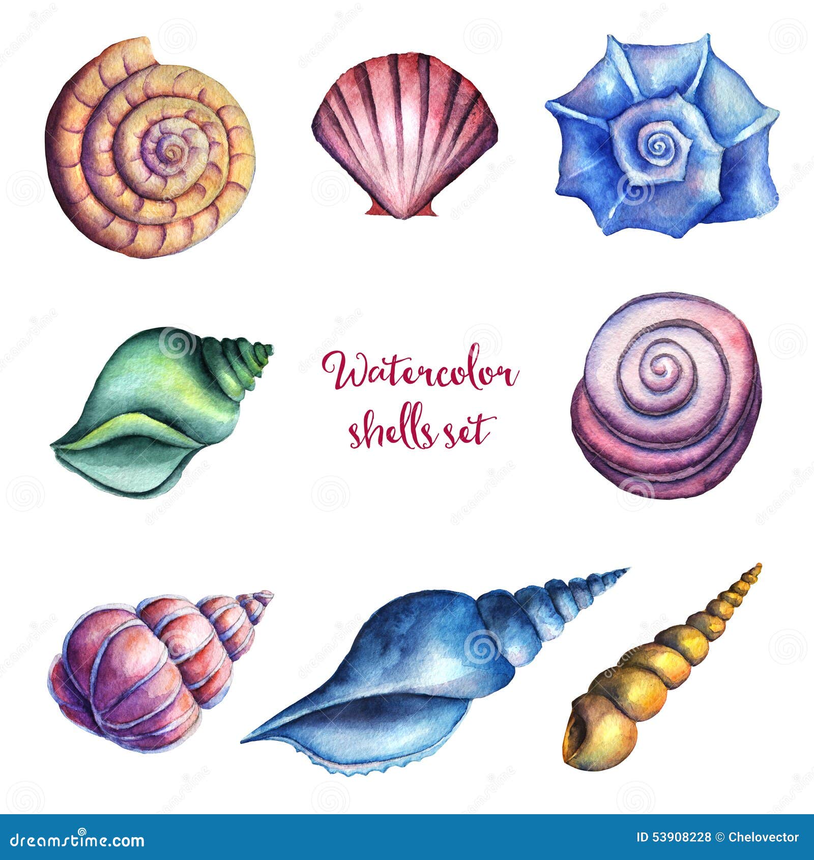Watercolor shells set. stock illustration. Illustration of random ...