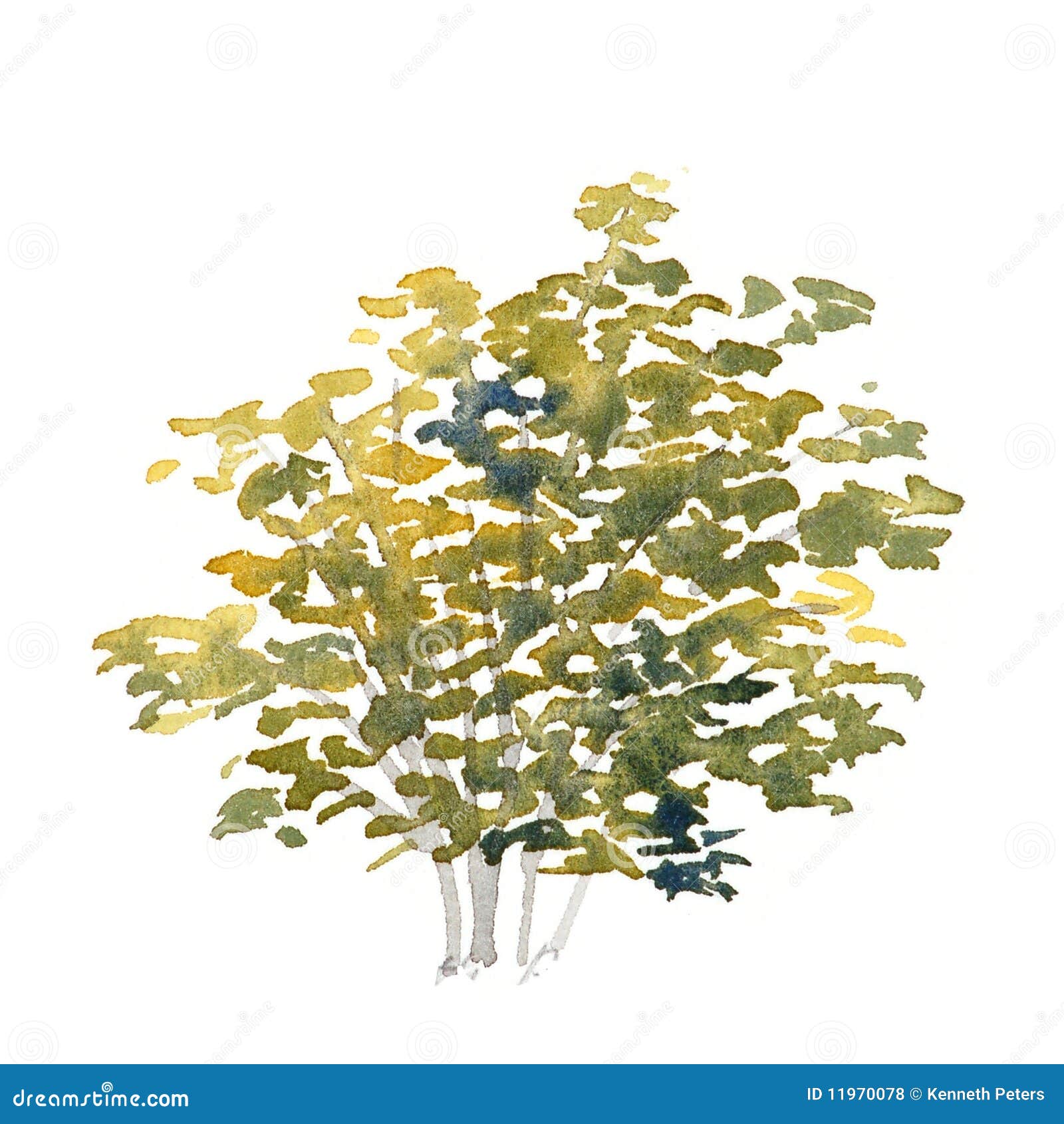 Watercolor Shrub Royalty Free Stock Photos - Image: 11970078