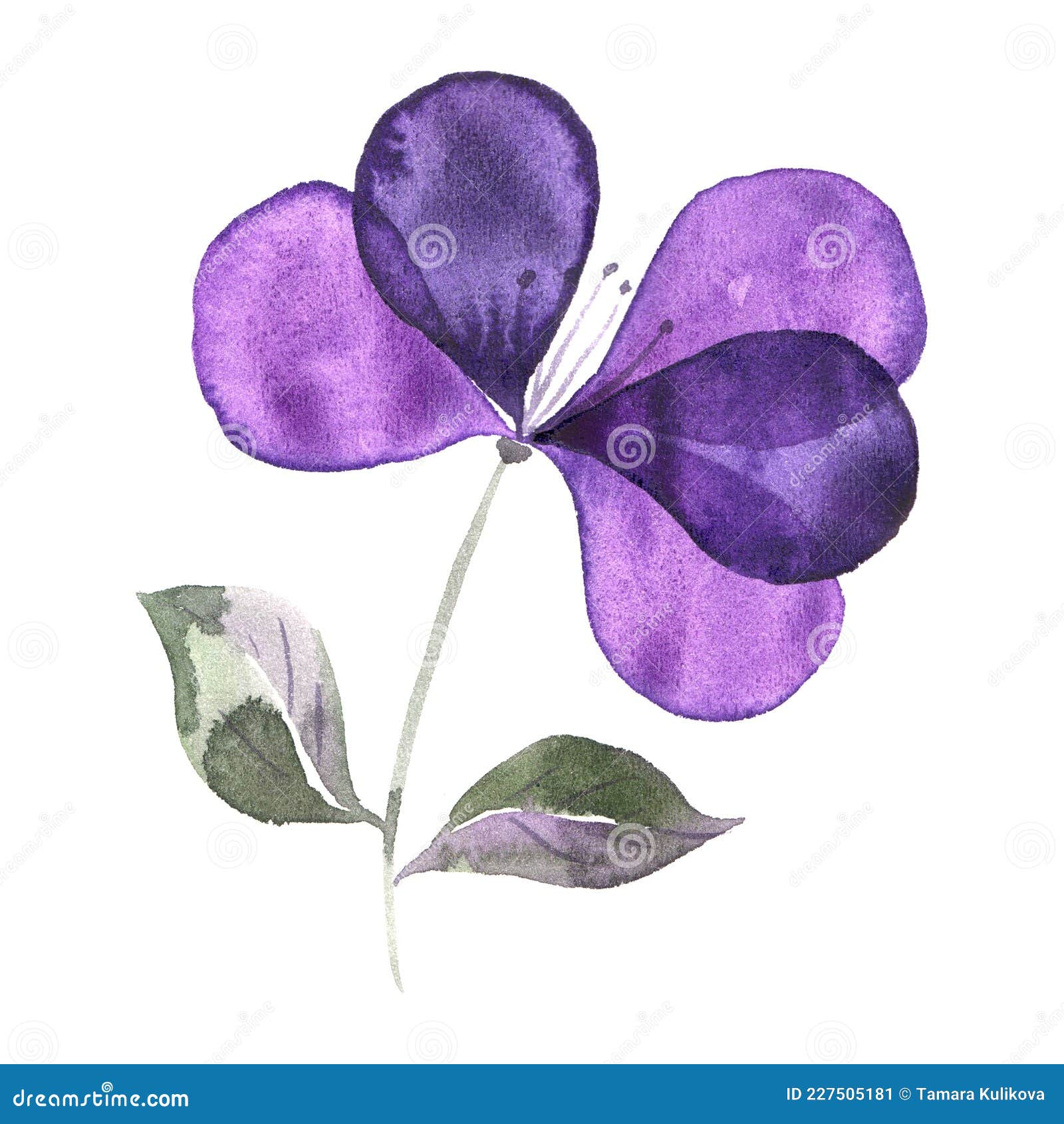 Watercolor Simple Flowers with Overlapping Translucent Petals Stock ...