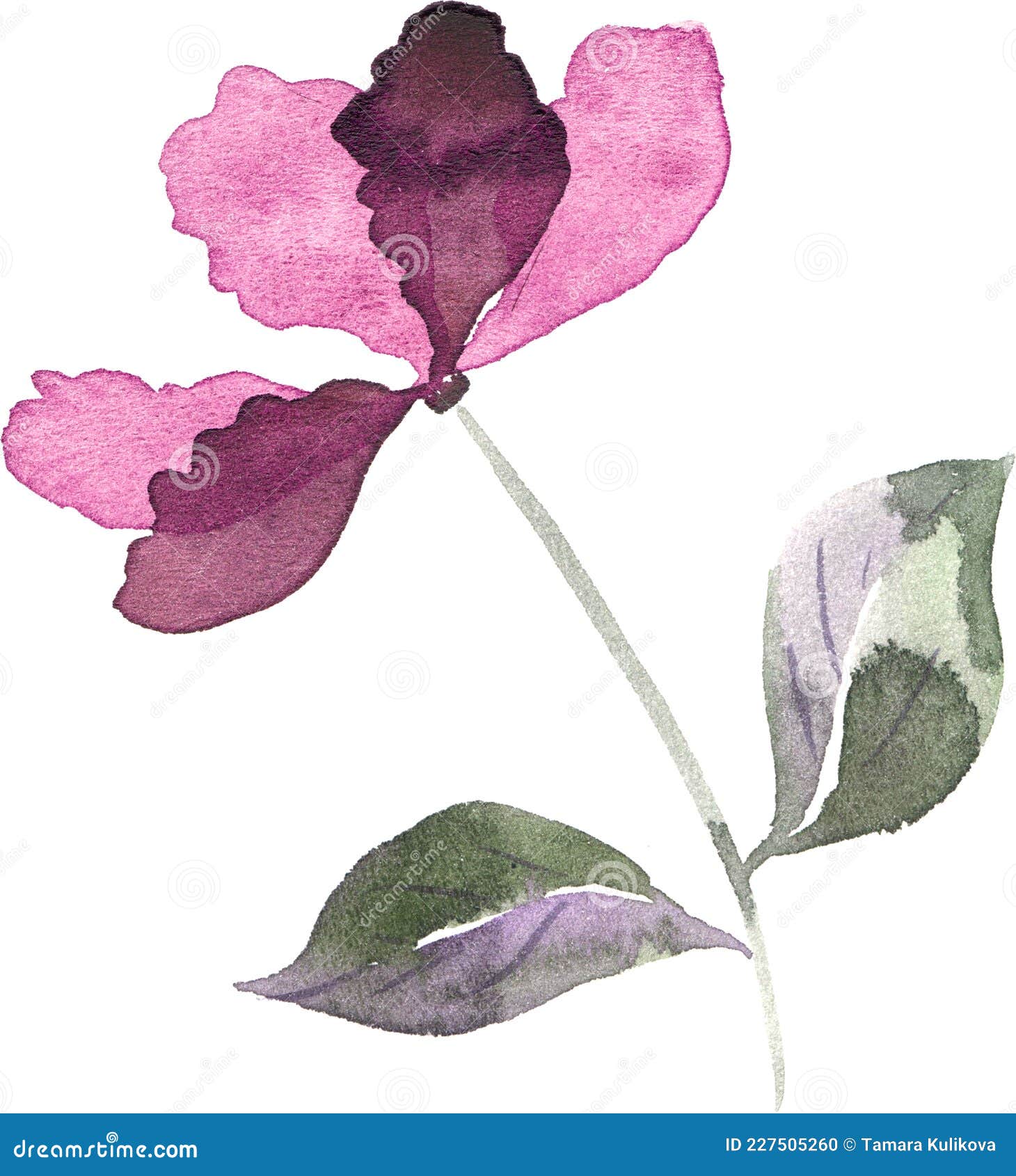 Watercolor Simple Flowers with Overlapping Translucent Petals Stock ...