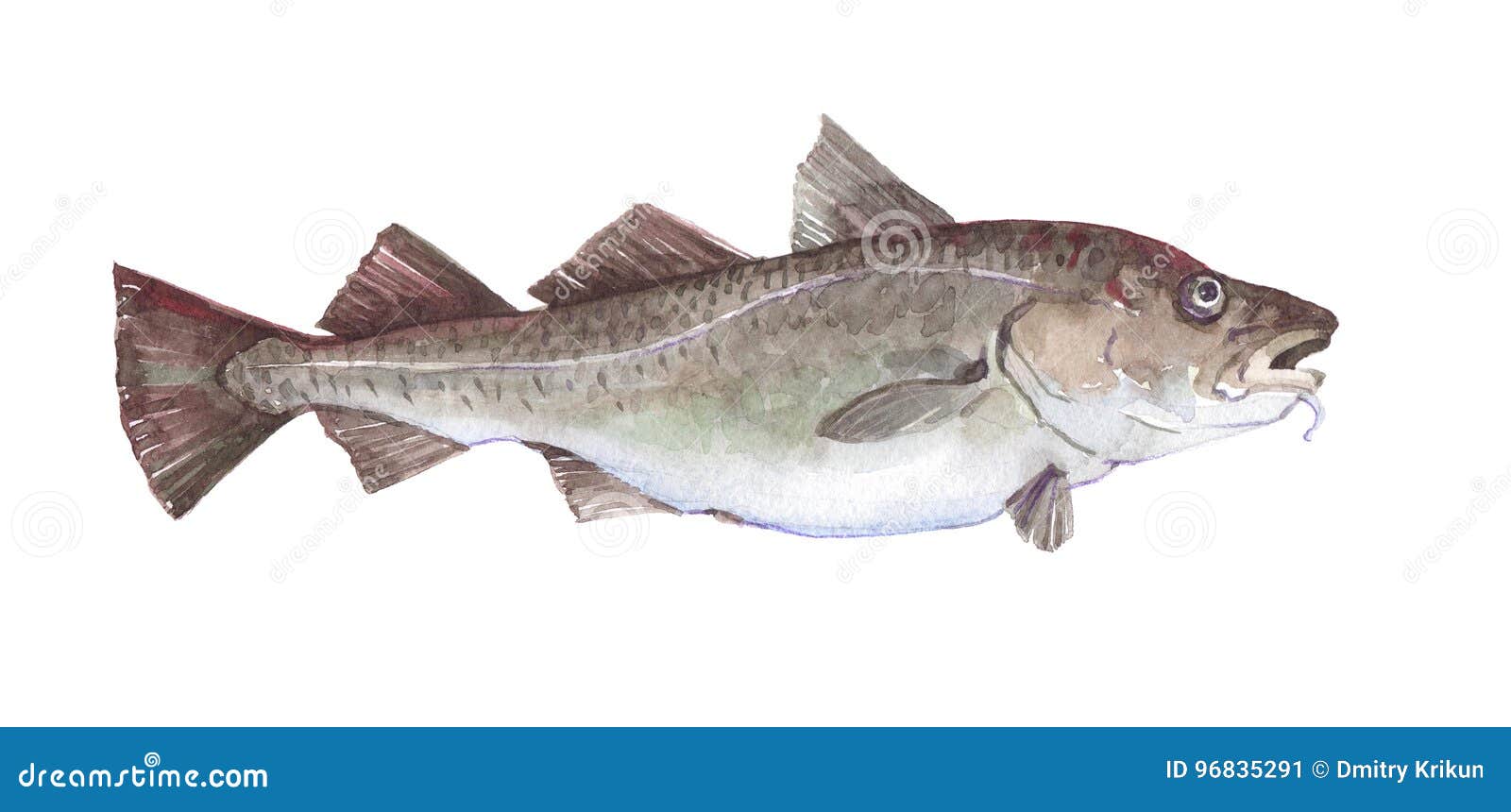 Lunch Cod Stock Illustrations – 622 Lunch Cod Stock Illustrations ...