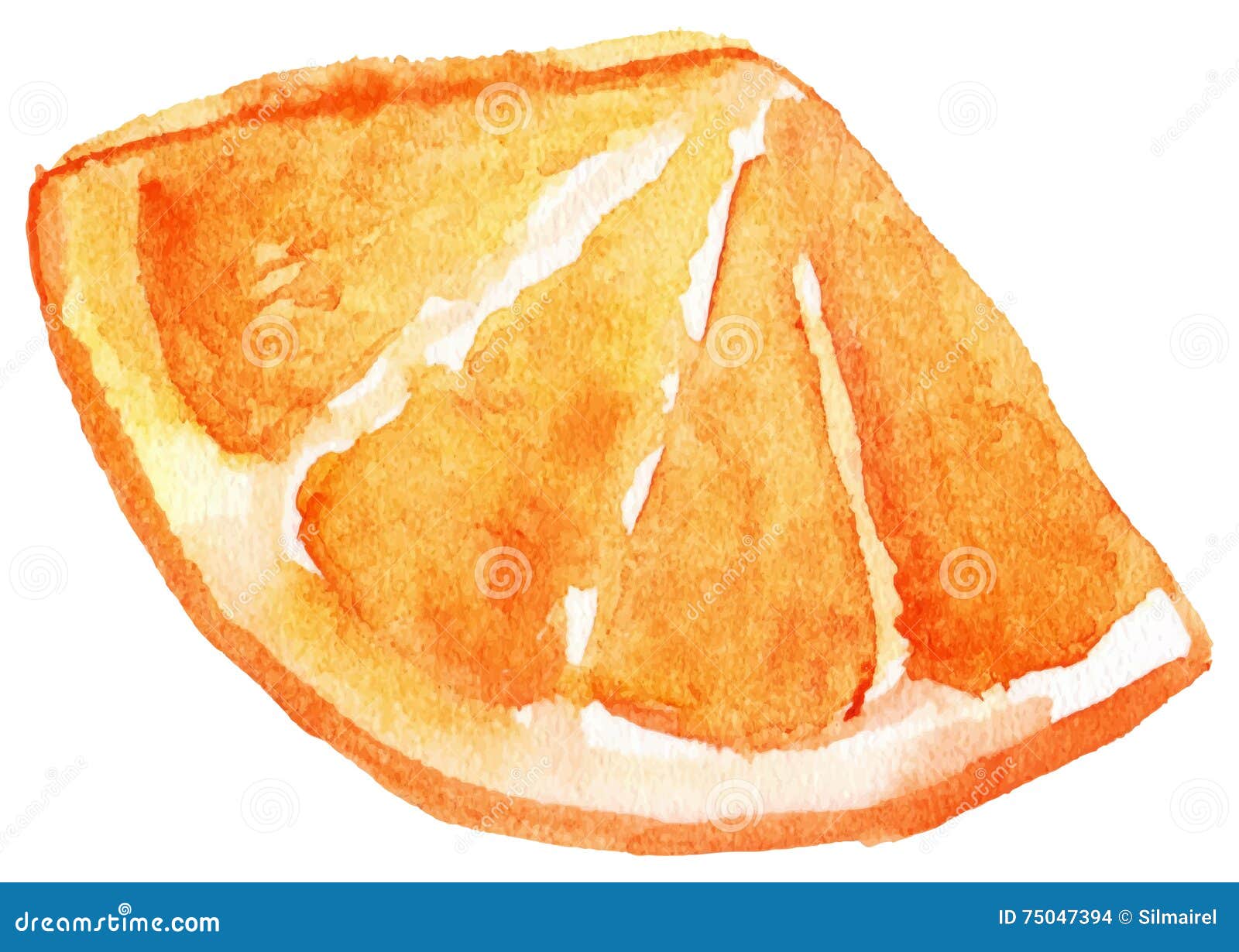Watercolor Slice of Orange Fruit Isolated Vector Stock Vector ...