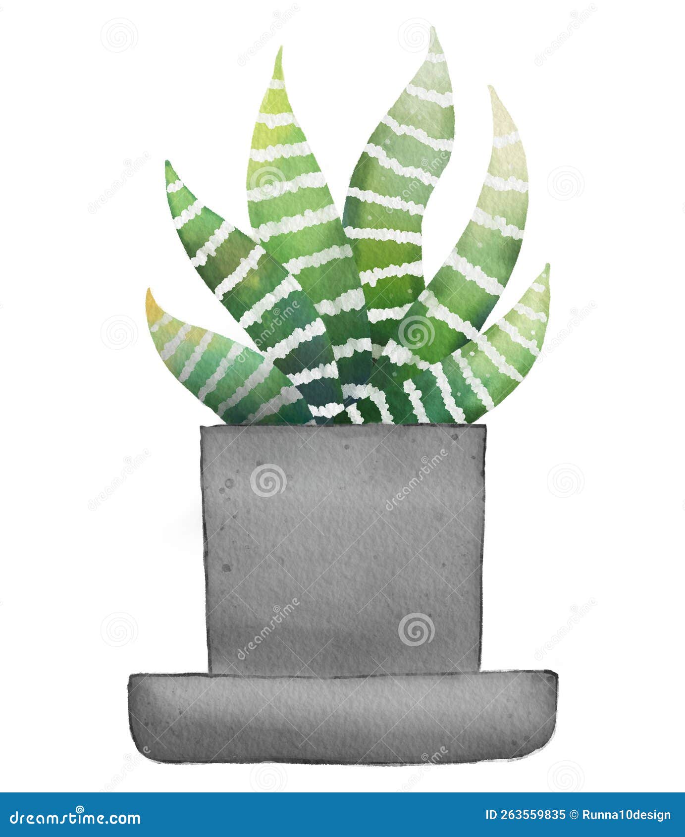 Watercolor Style Haworthia In Concrete Flower Pot Isolated On White