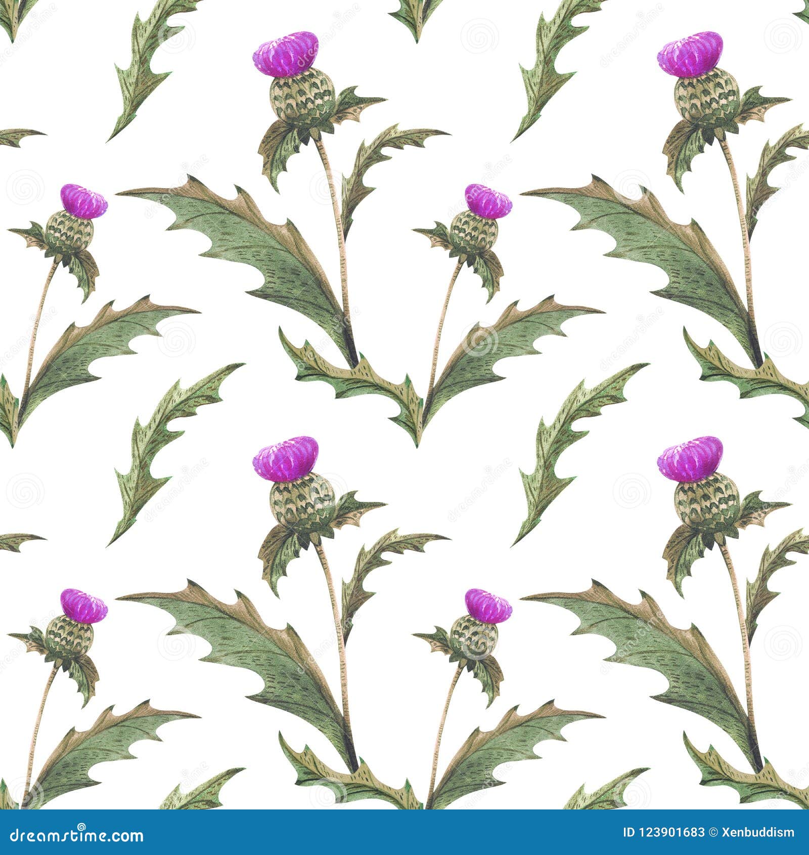 Watercolor Thistle Seamless Pattern Stock Illustration - Illustration ...