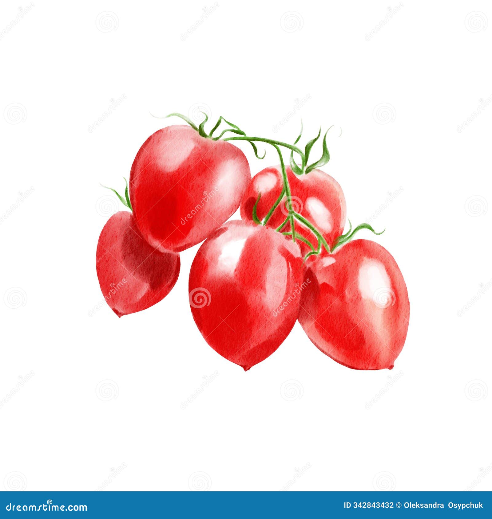 Watercolor Vegetable Tomato Brunch Stock Illustration - Illustration of ...