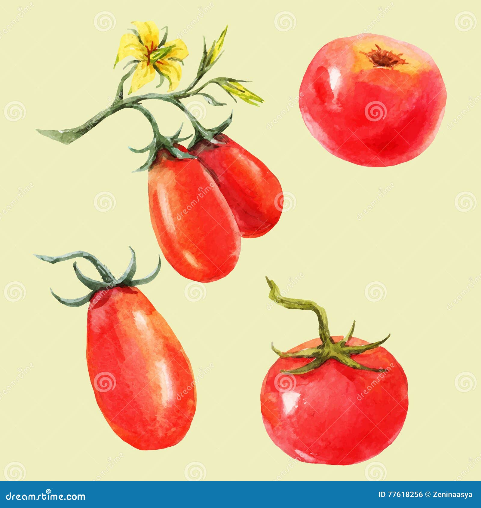 Watercolor tomato set stock vector. Illustration of banner - 77618256
