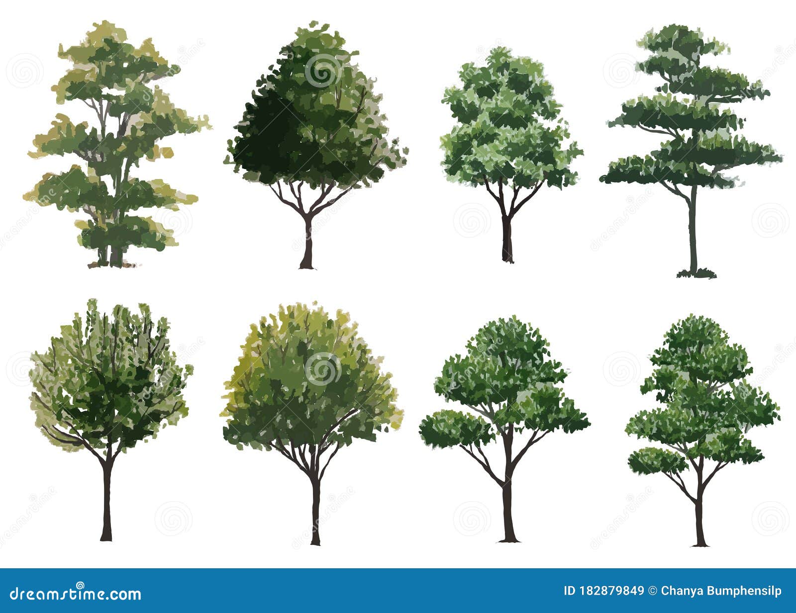 Watercolor tree top view stock illustration. Illustration of tree ... Watercolor tree top view stock illustration. Illustration of tree ...