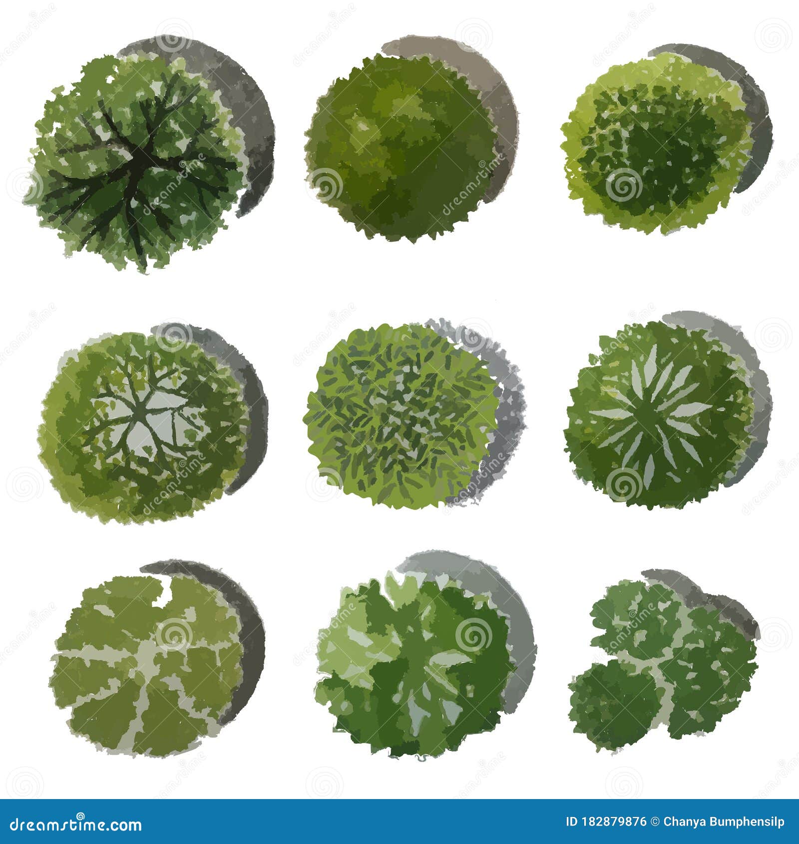 Watercolor tree top view stock illustration. Illustration of landscape ...