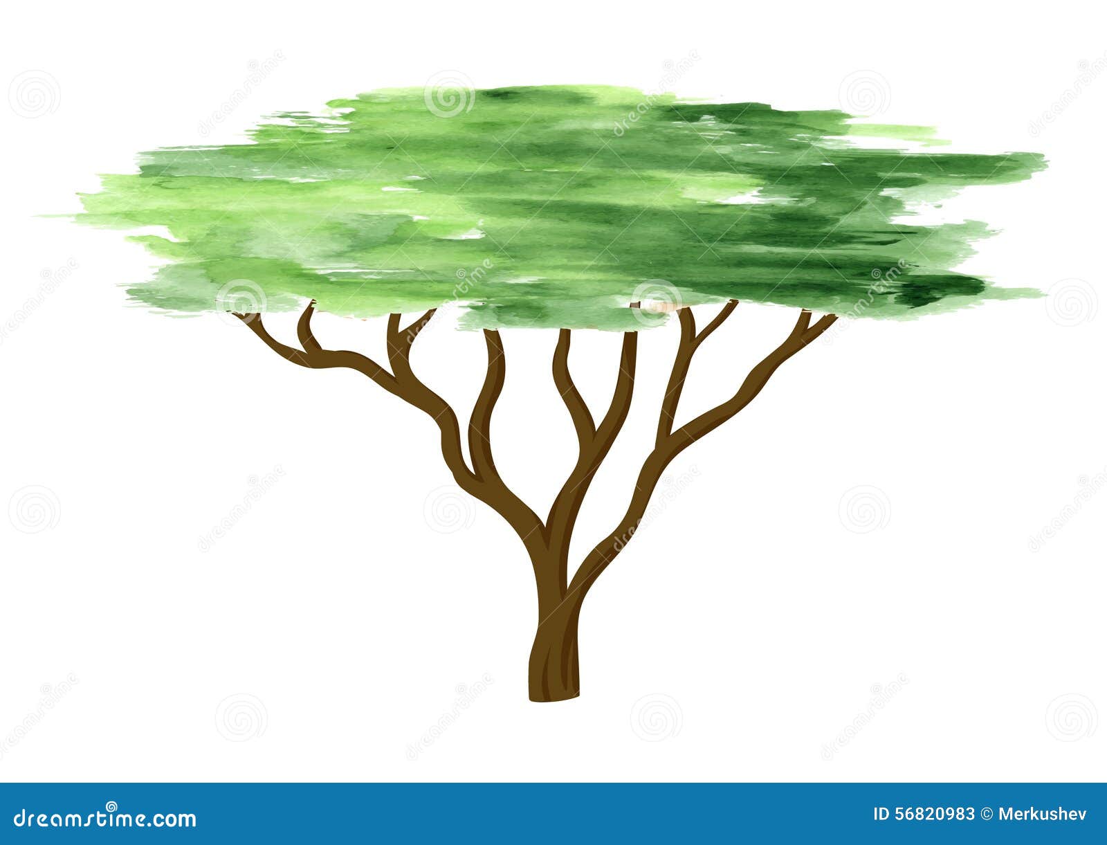 Watercolor Tree on White Background Stock Vector - Illustration of ...