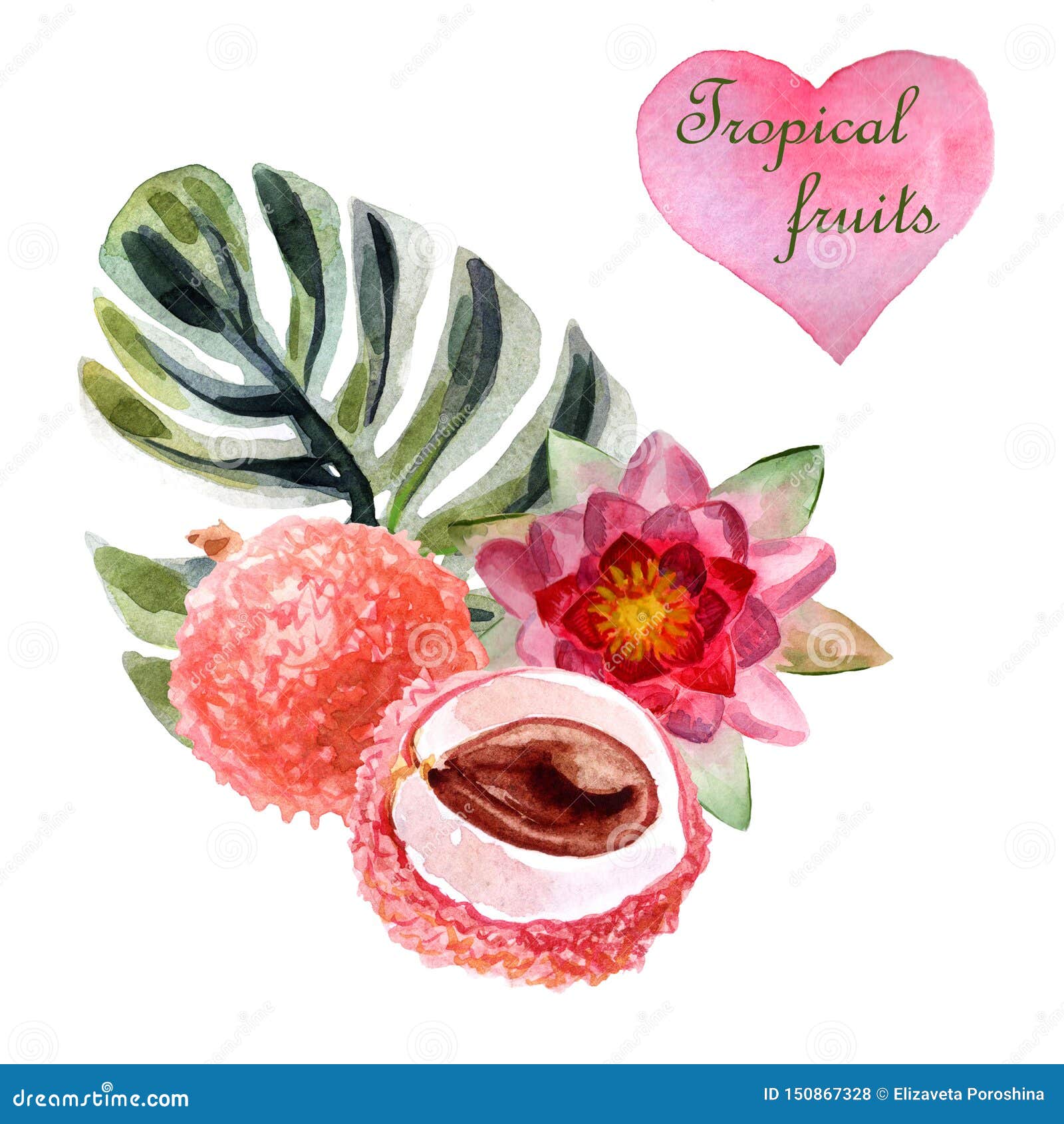 Watercolor Tropical Illustration with Lychee on a White Background ...
