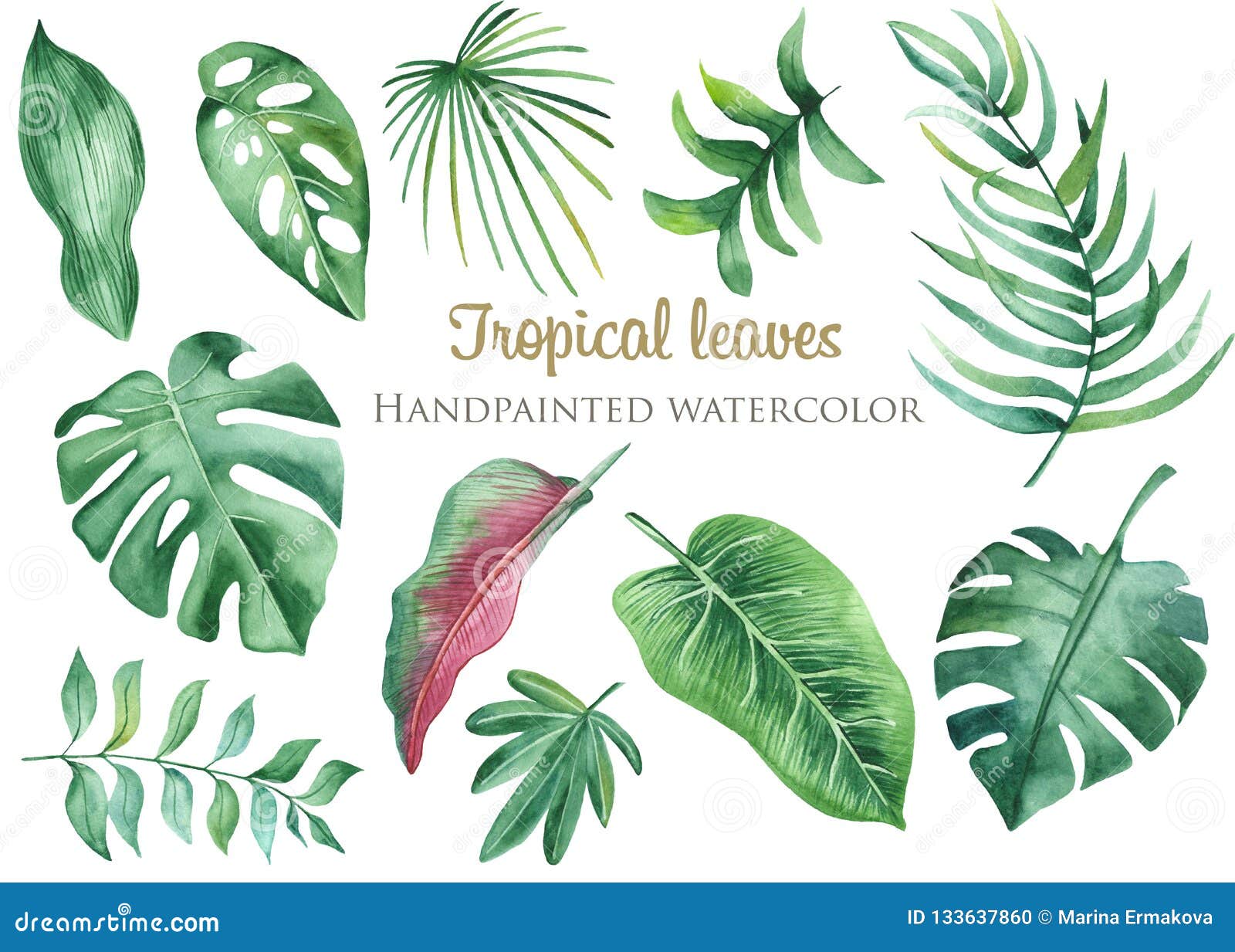 Watercolor Tropical Leaves and Flowers. Stock Illustration ... Watercolor Tropical Leaves and Flowers. Stock Illustration ...