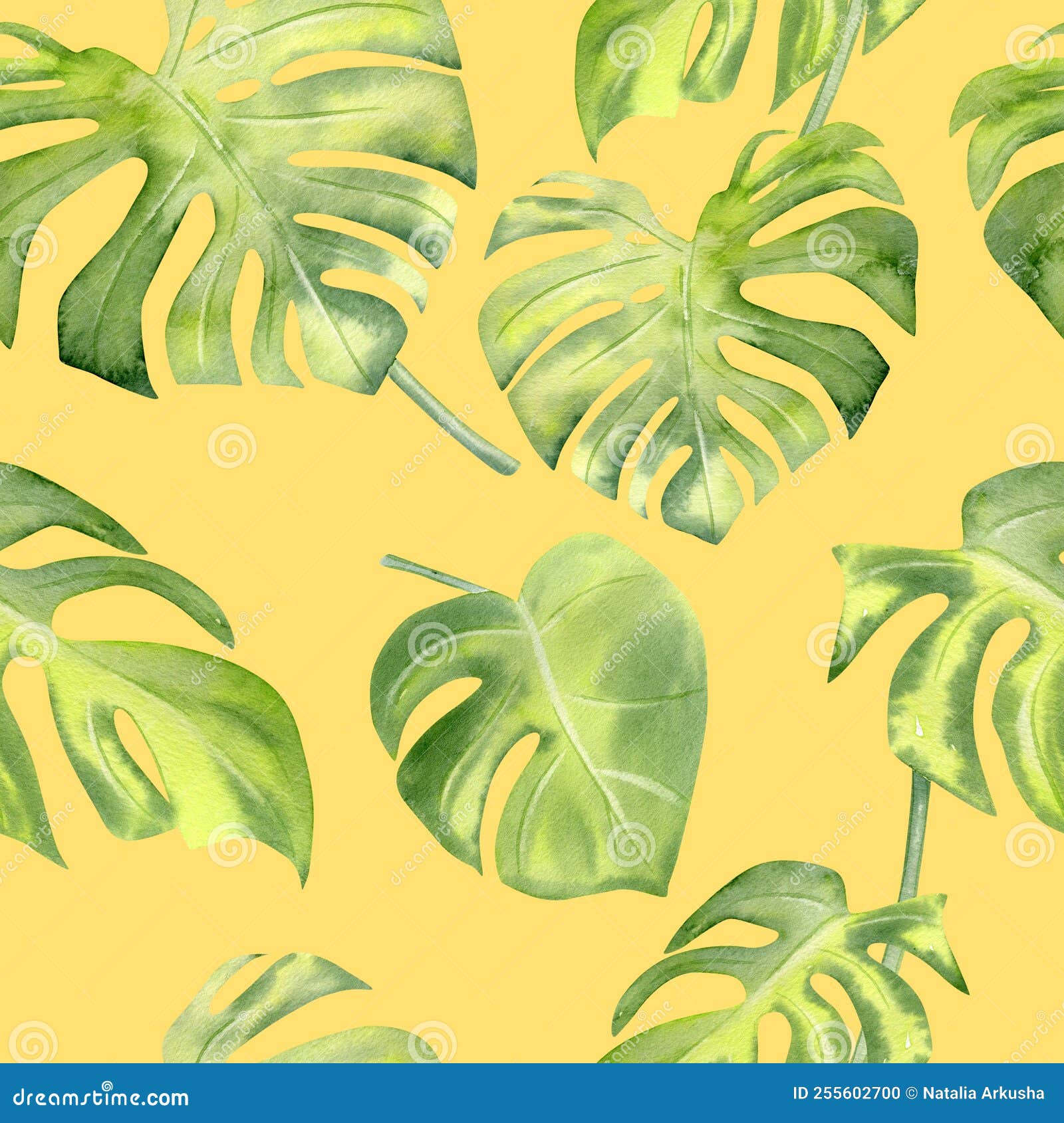 Watercolor Tropical Leaves Monstera Seamless Pattern. Stock Photo ...