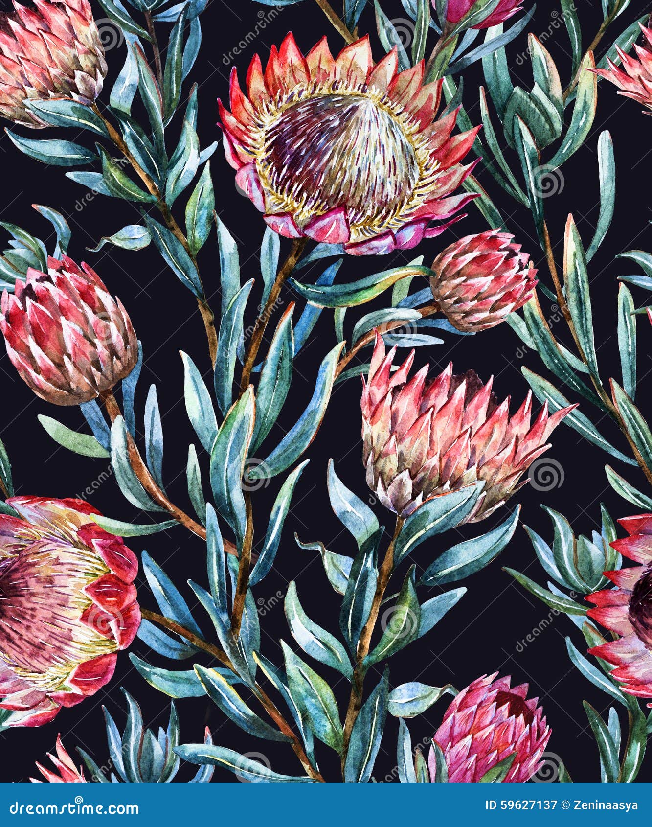 Watercolor Tropical Protea Pattern Stock Vector - Illustration of ...