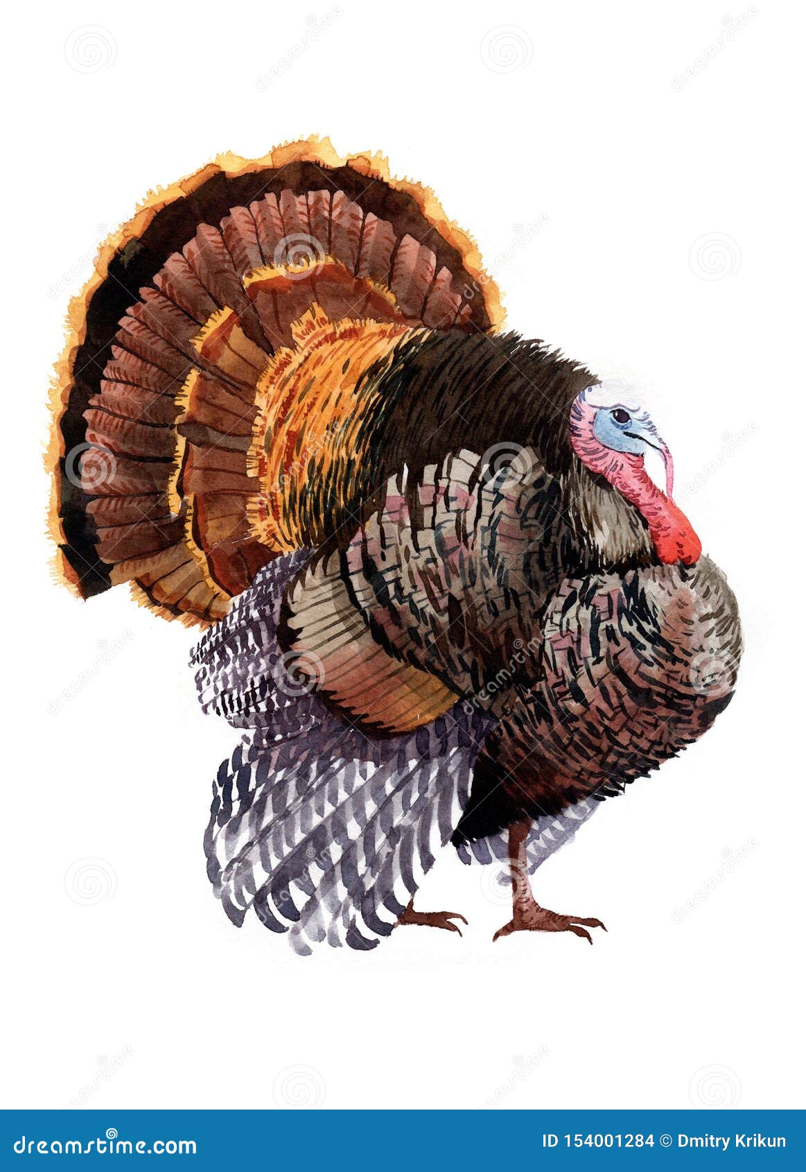 Realistic Watercolor Turkey