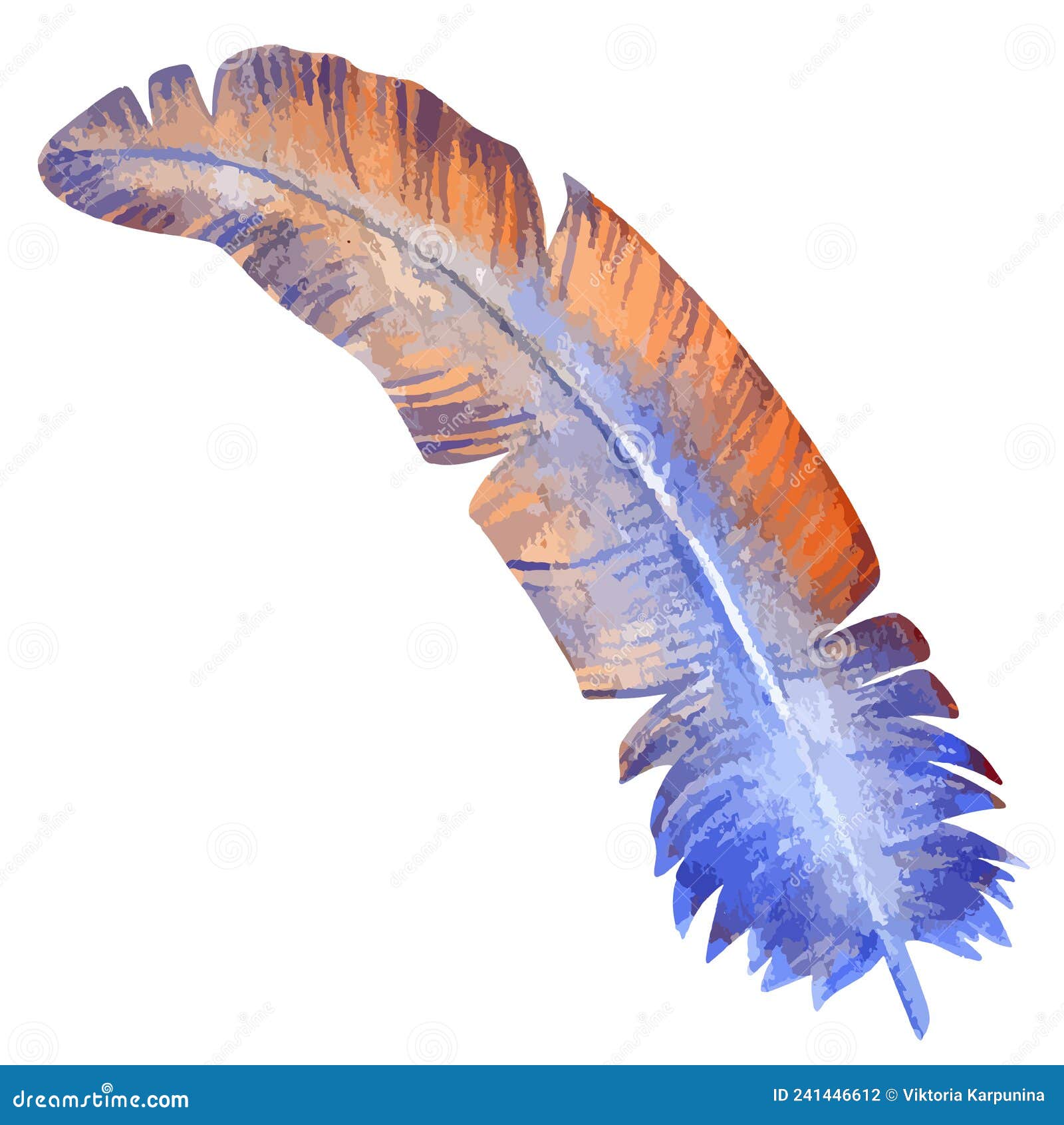 Watercolor Vector Illustration of Colorful Bird Feather Stock Vector ...