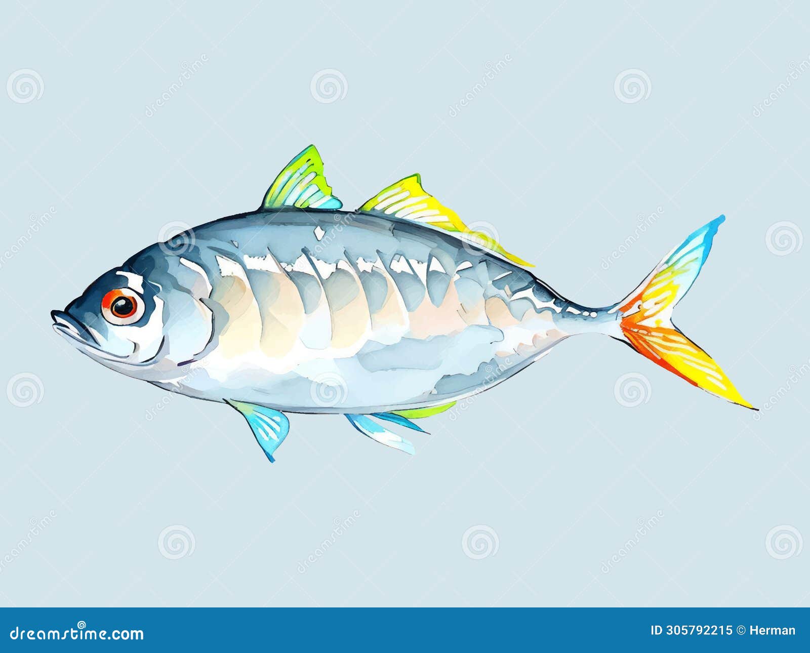 Watercolor Vector Saltwater Fish Illustration Stock Vector ...