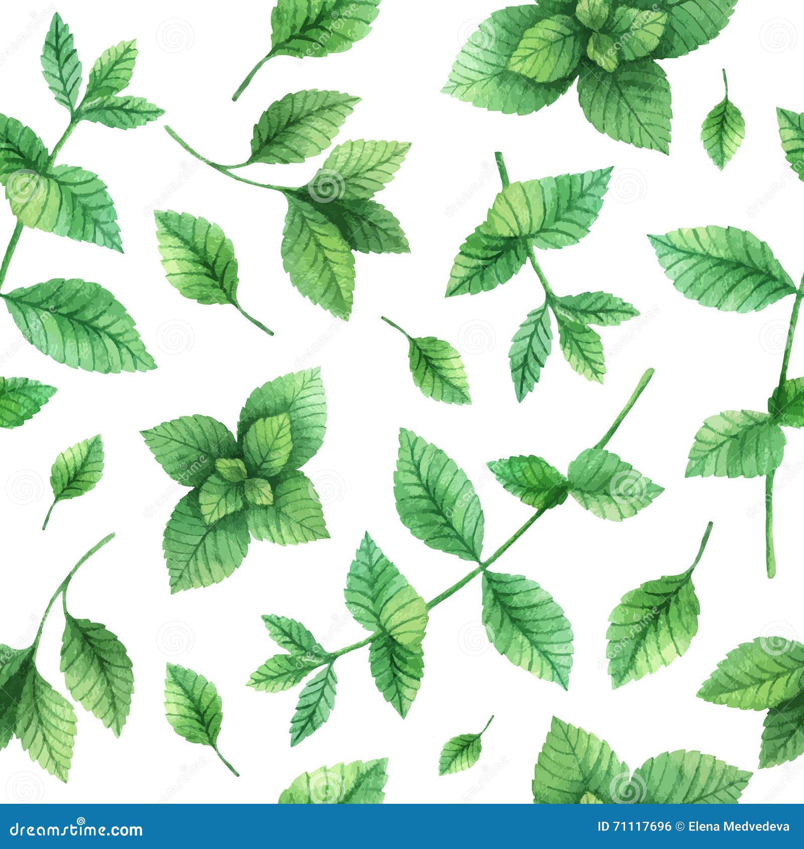 Mint Leaf Pattern