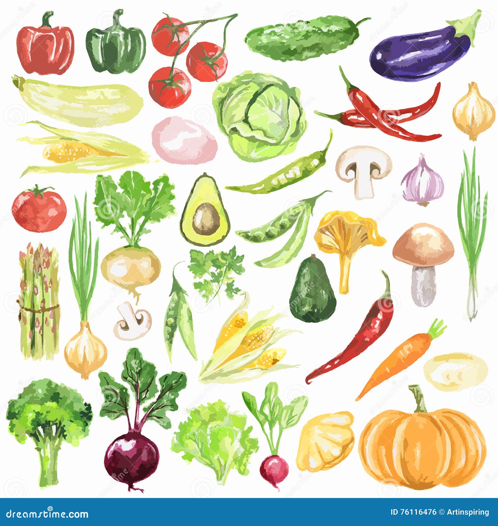 Watercolor Vegetables Set Royalty-Free Stock Photo | CartoonDealer.com ...