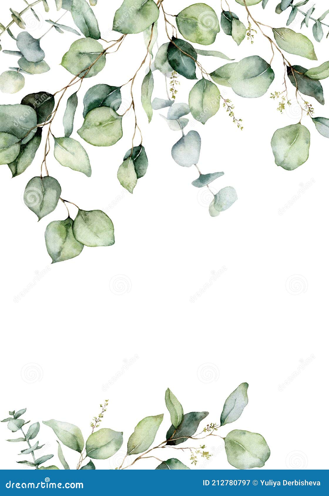 Watercolor Vertical Border of Eucalyptus Branches, Seeds and Leaves ... Watercolor Vertical Border of Eucalyptus Branches, Seeds and Leaves ...