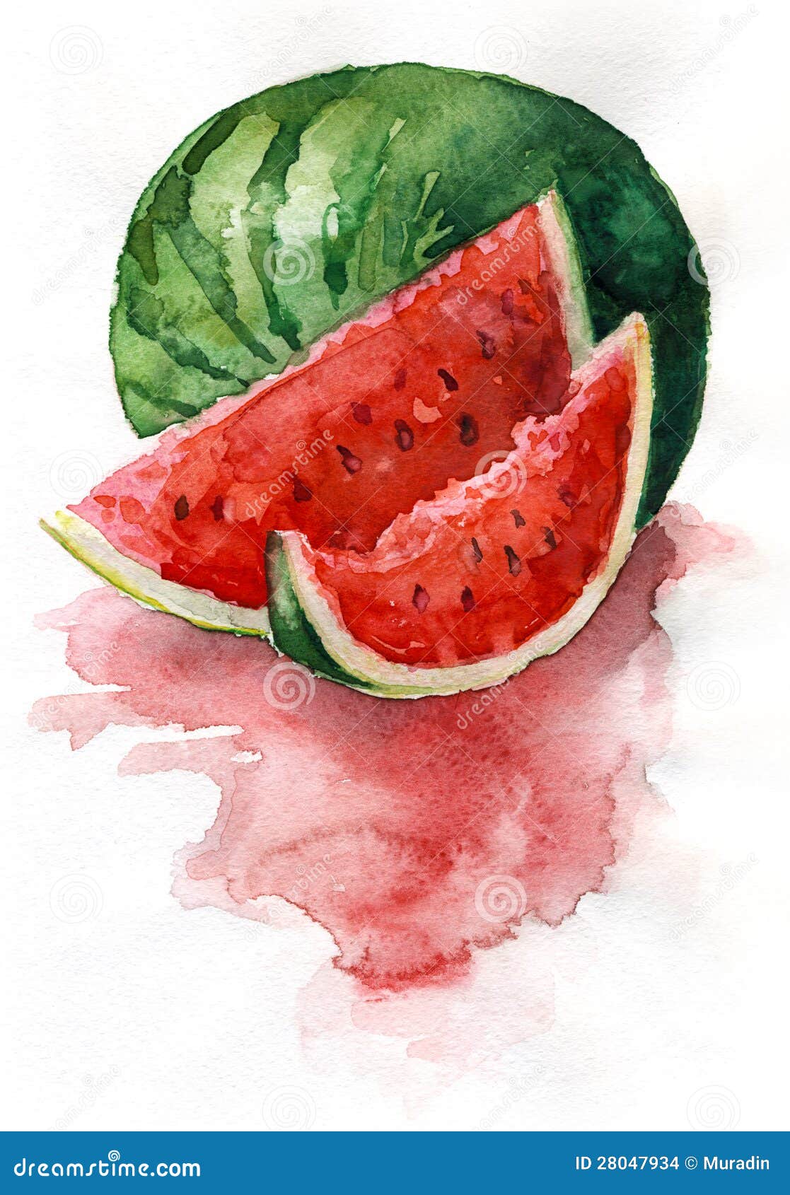 Watercolor watermelon stock illustration. Illustration of life - 28047934