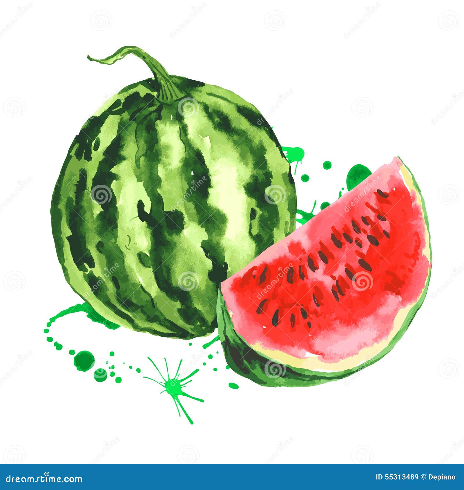 Watercolor Watermelon, Summer Hand Drawn Fruit Stock Vector ...