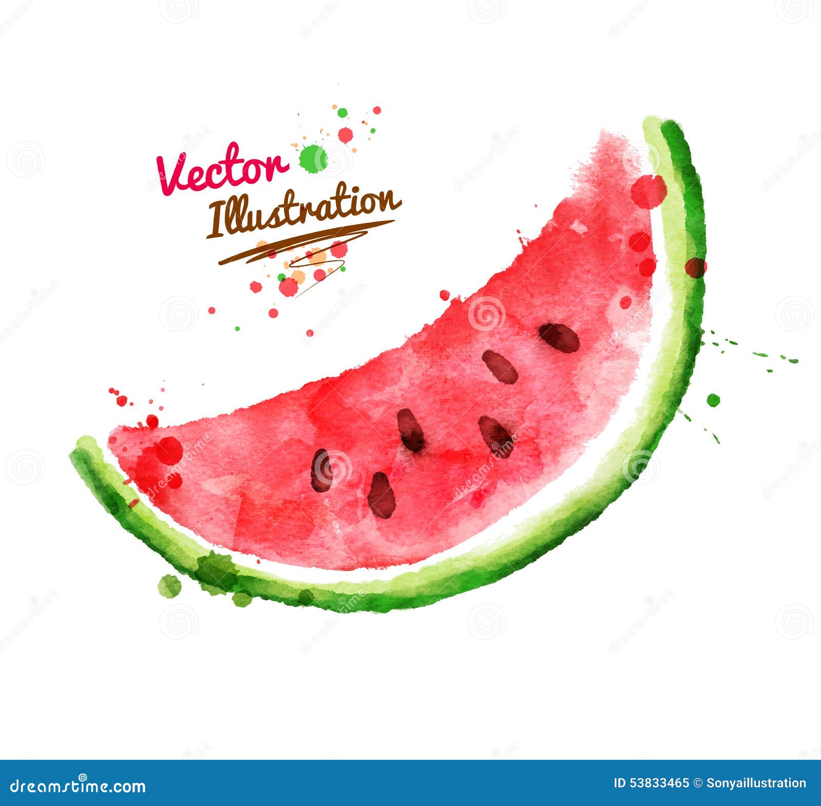 Watercolor watermelon stock vector. Illustration of snack - 53833465