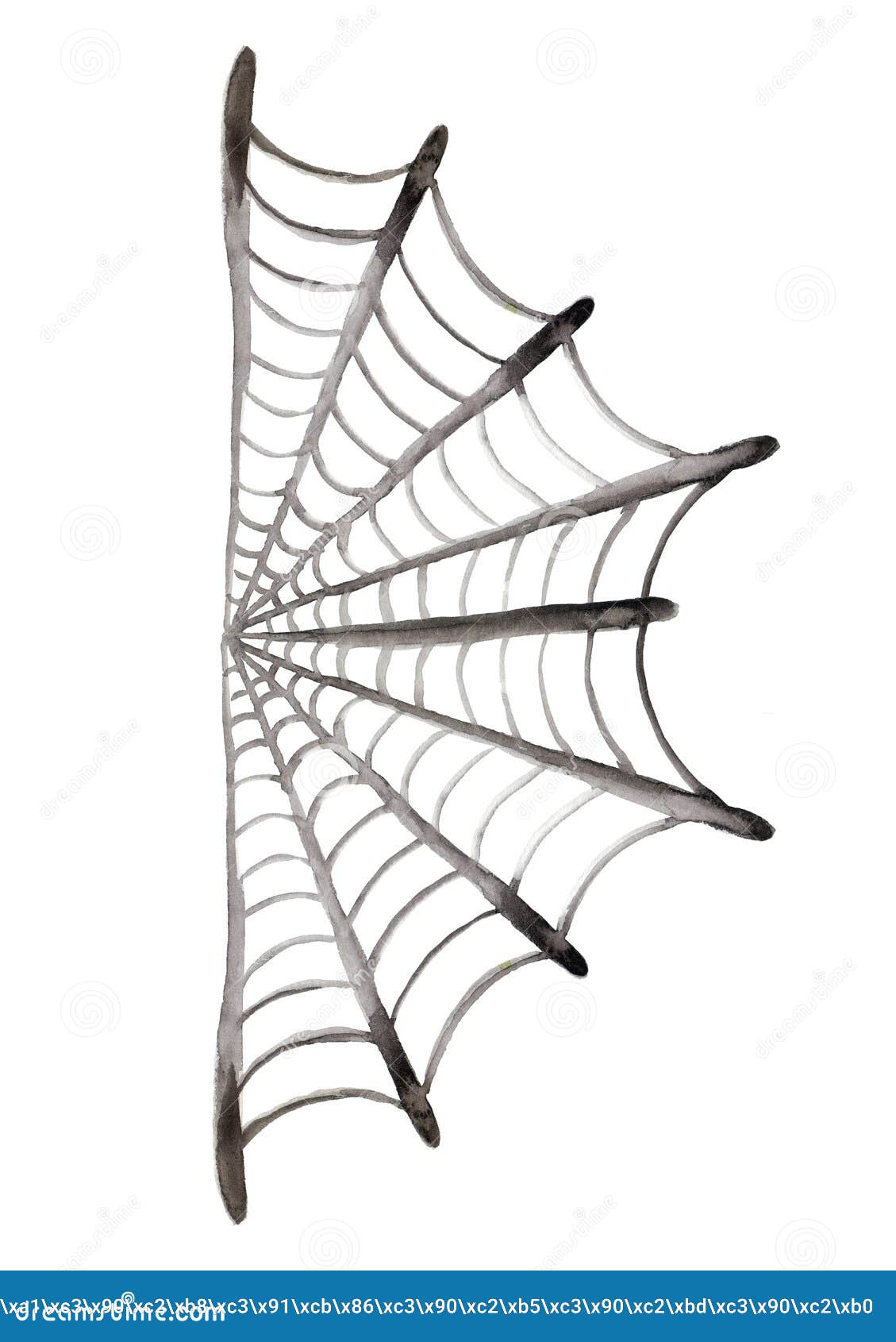 Watercolor Web (web) Close-up Background. Abstract Background: Half Web ...