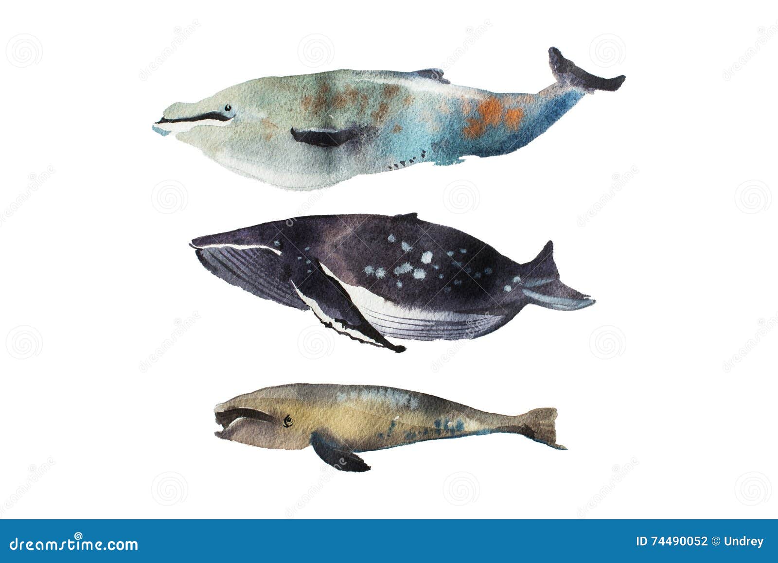 Sea Of Whales.Hand Draw Linear Cheerful Simple Silhouette Whales ...