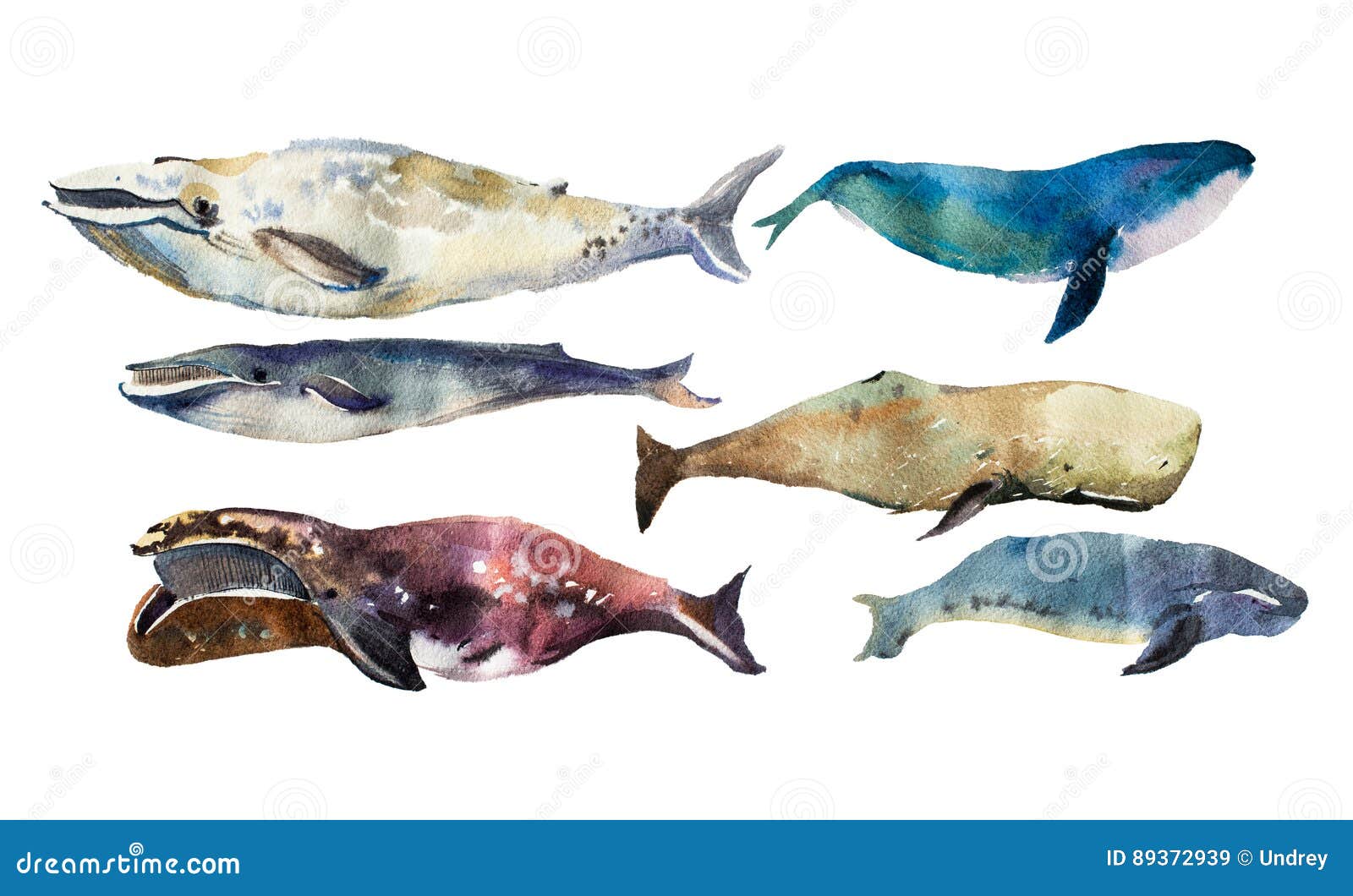 Sea Of Whales.Hand Draw Linear Cheerful Simple Silhouette Whales ...