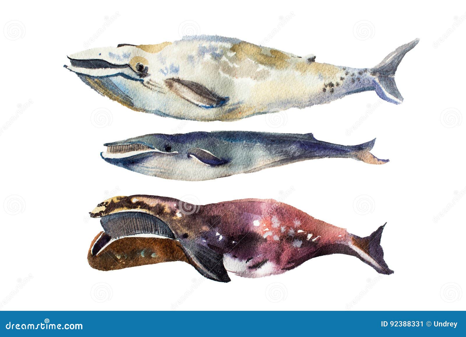 Sea Of Whales.Hand Draw Linear Cheerful Simple Silhouette Whales ...