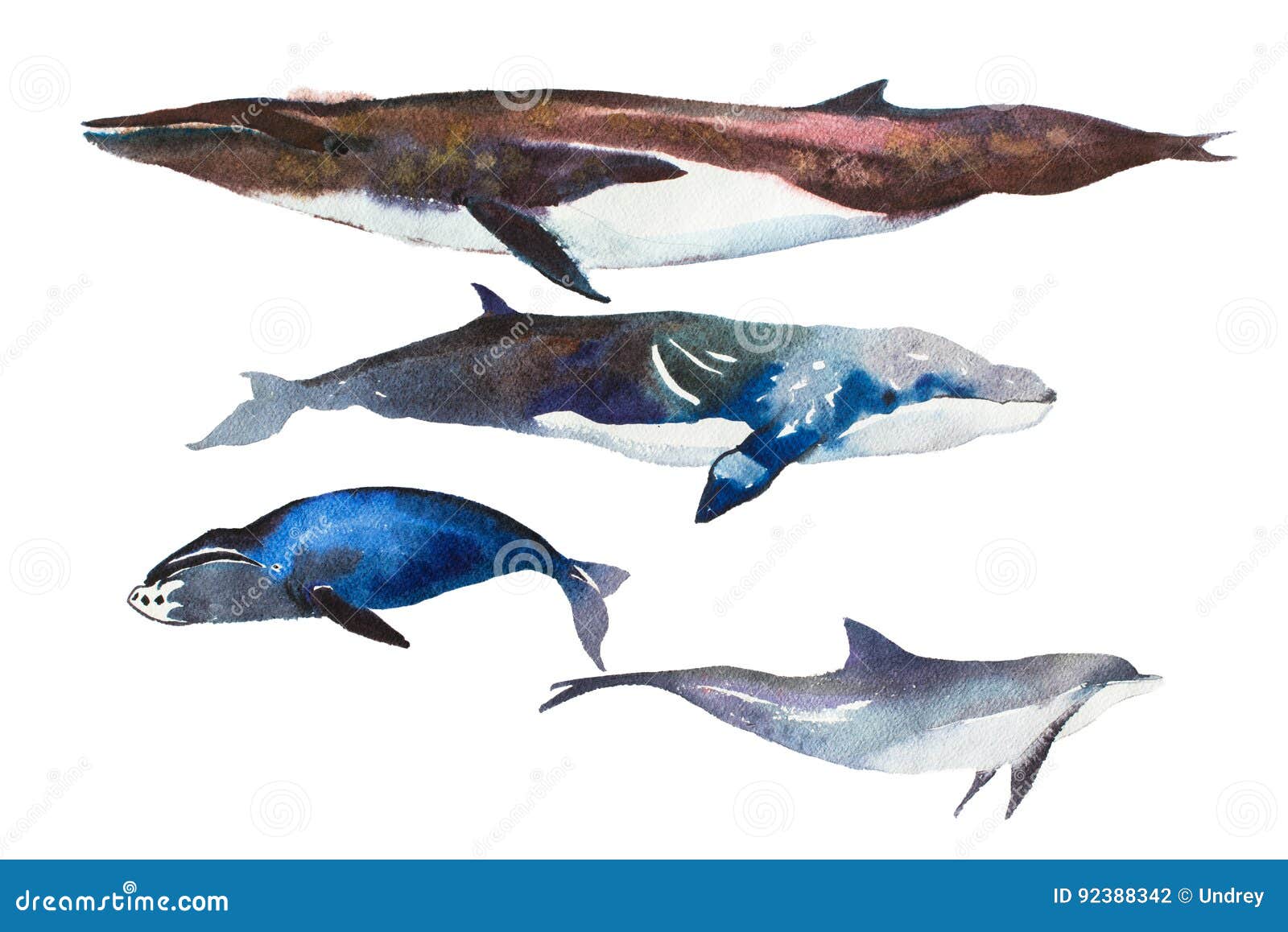 Sea Of Whales.Hand Draw Linear Cheerful Simple Silhouette Whales ...