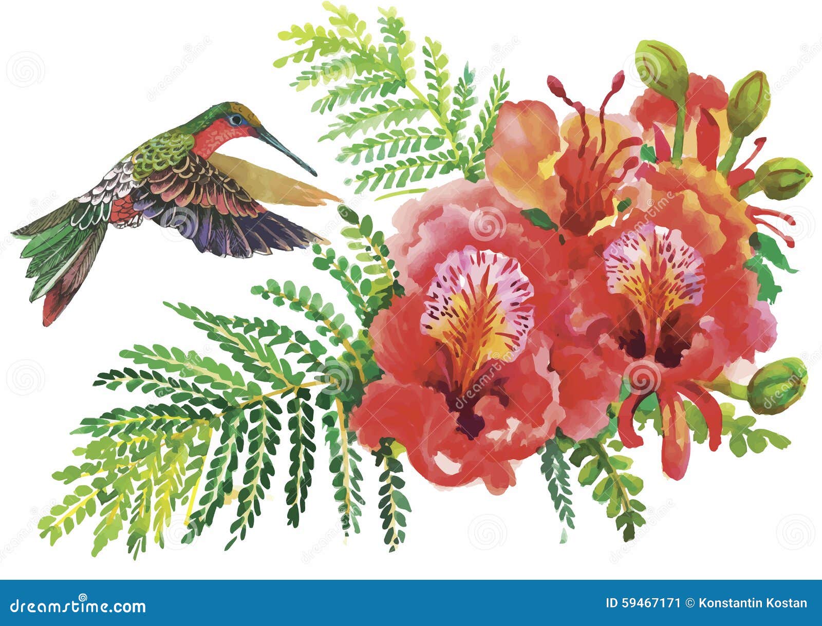 Watercolor Wild Exotic Birds on Flowers Stock Vector - Illustration of ...