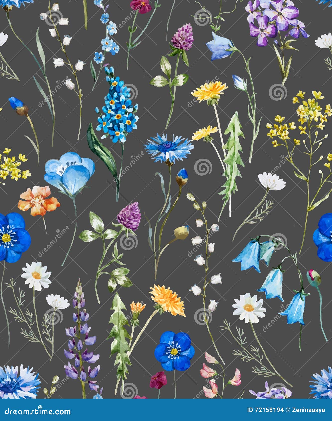 Watercolor Wild Flowers Pattern Stock Vector - Illustration of ...