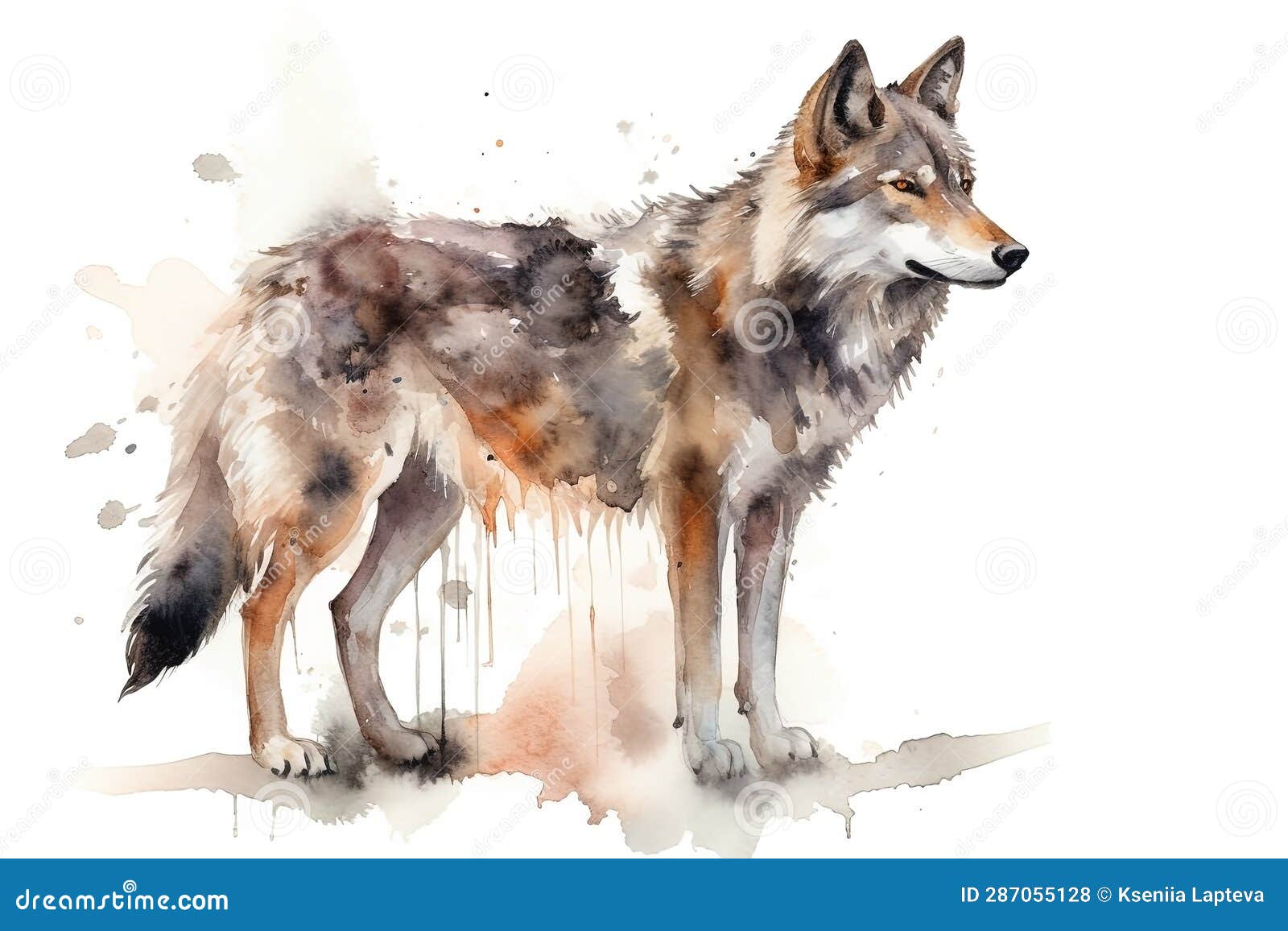 Watercolor Wolf Illustration on White Background Stock Illustration ...