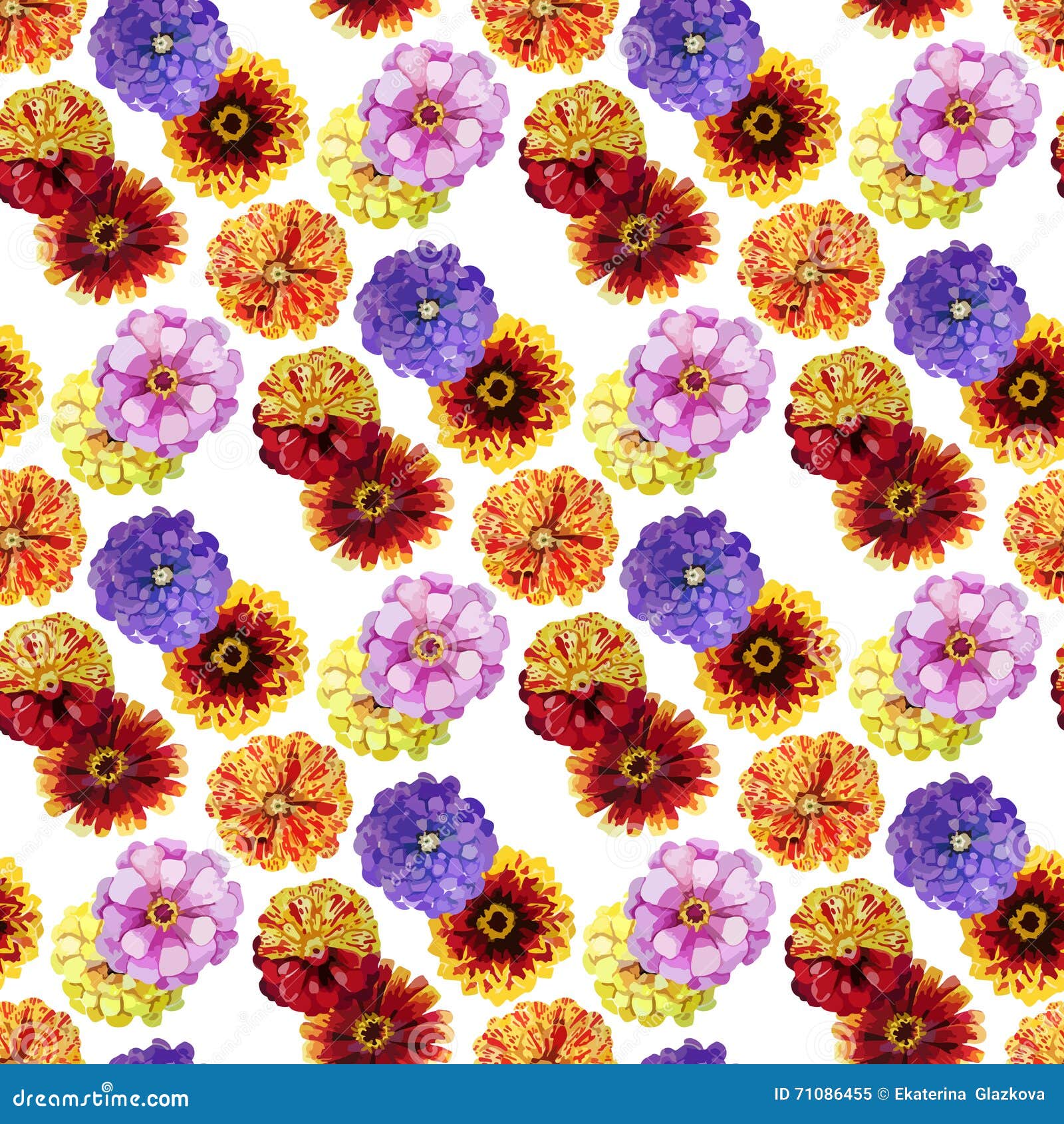 Watercolor zinnia pattern stock vector. Illustration of background ...