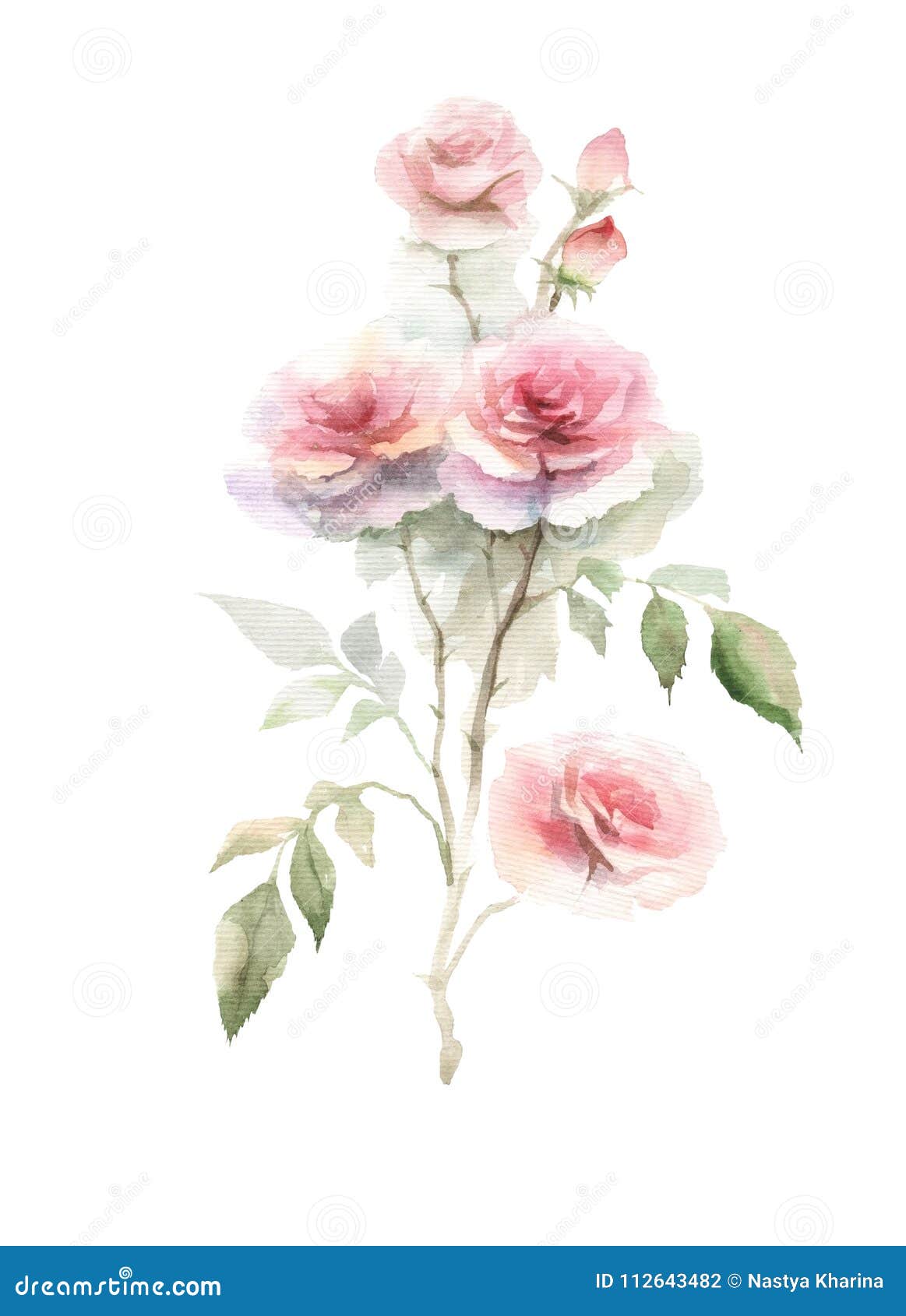 Watercolorhand a Peint Le Tableau Des Roses Illustration Stock ...