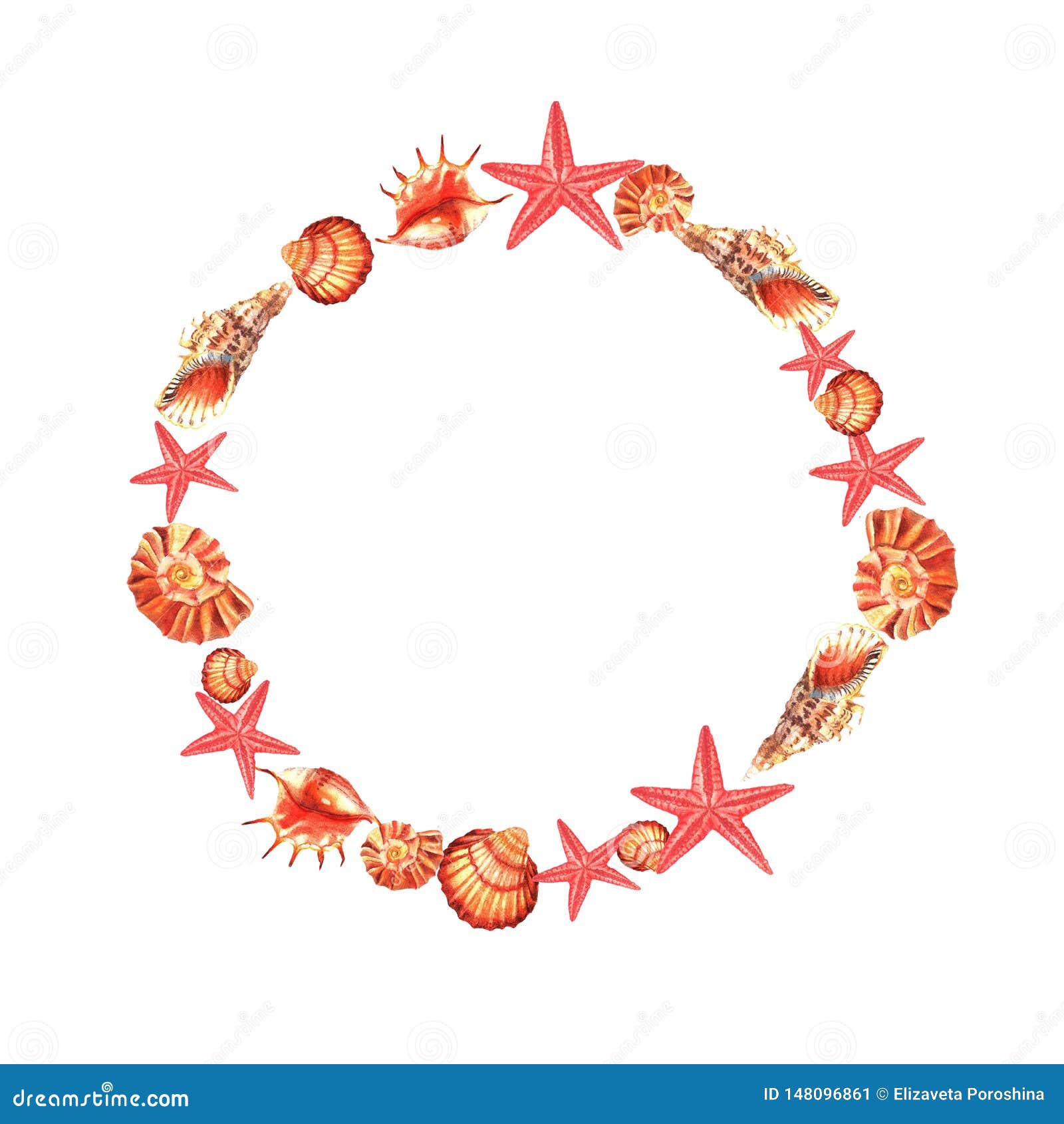 Watercolour Circle Frame of Shells and Sea-star Stock Illustration ...