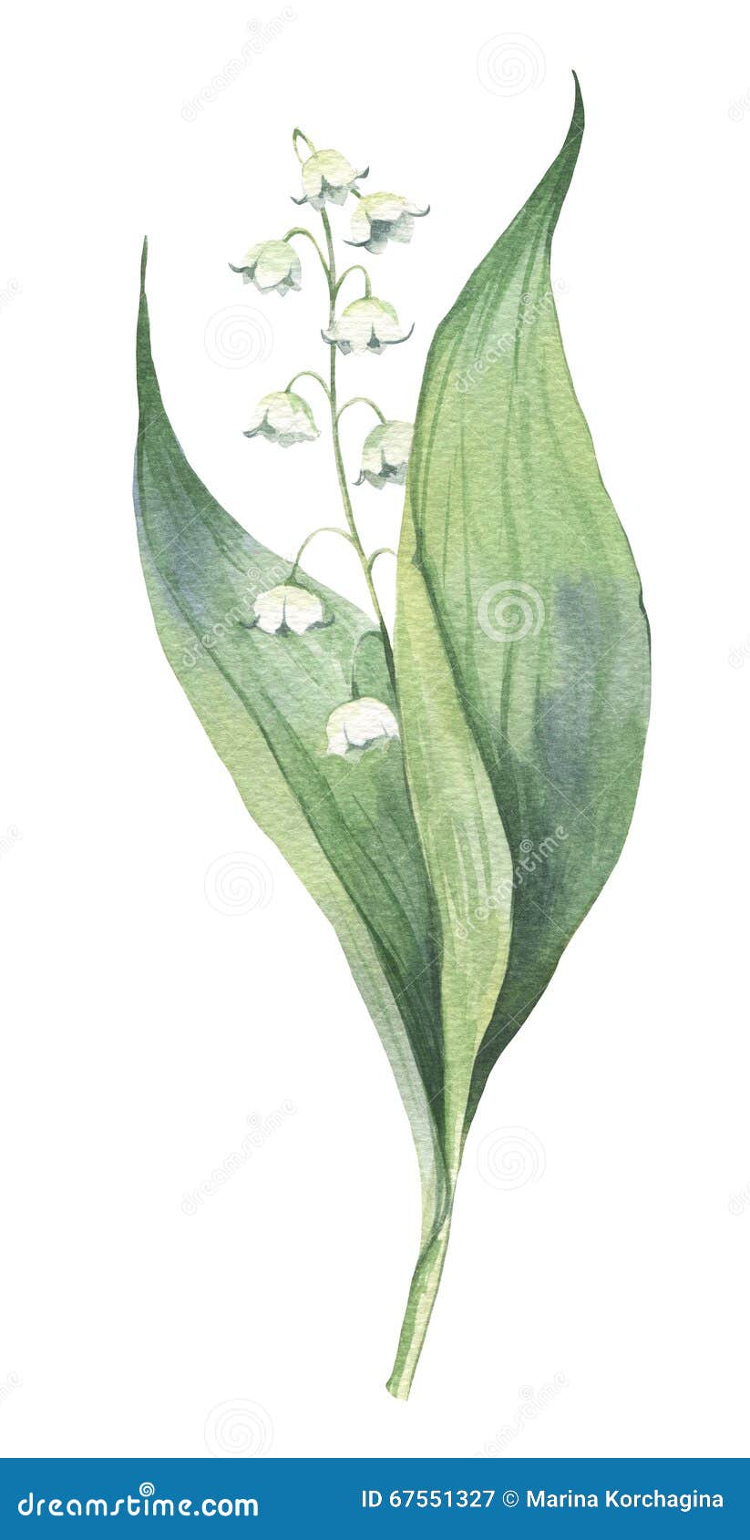 Spring May Stock Illustrations – 25,446 Spring May Stock Illustrations ...