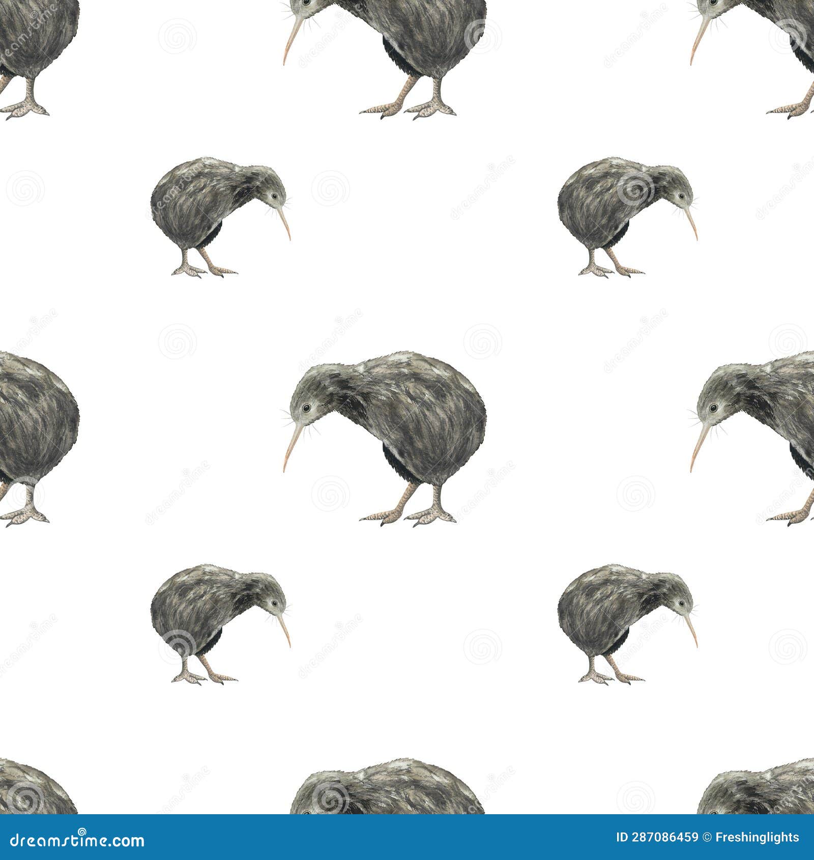 Watercolour Kiwi Bird Seamless Pattern. Hand Drawn Illustration ...